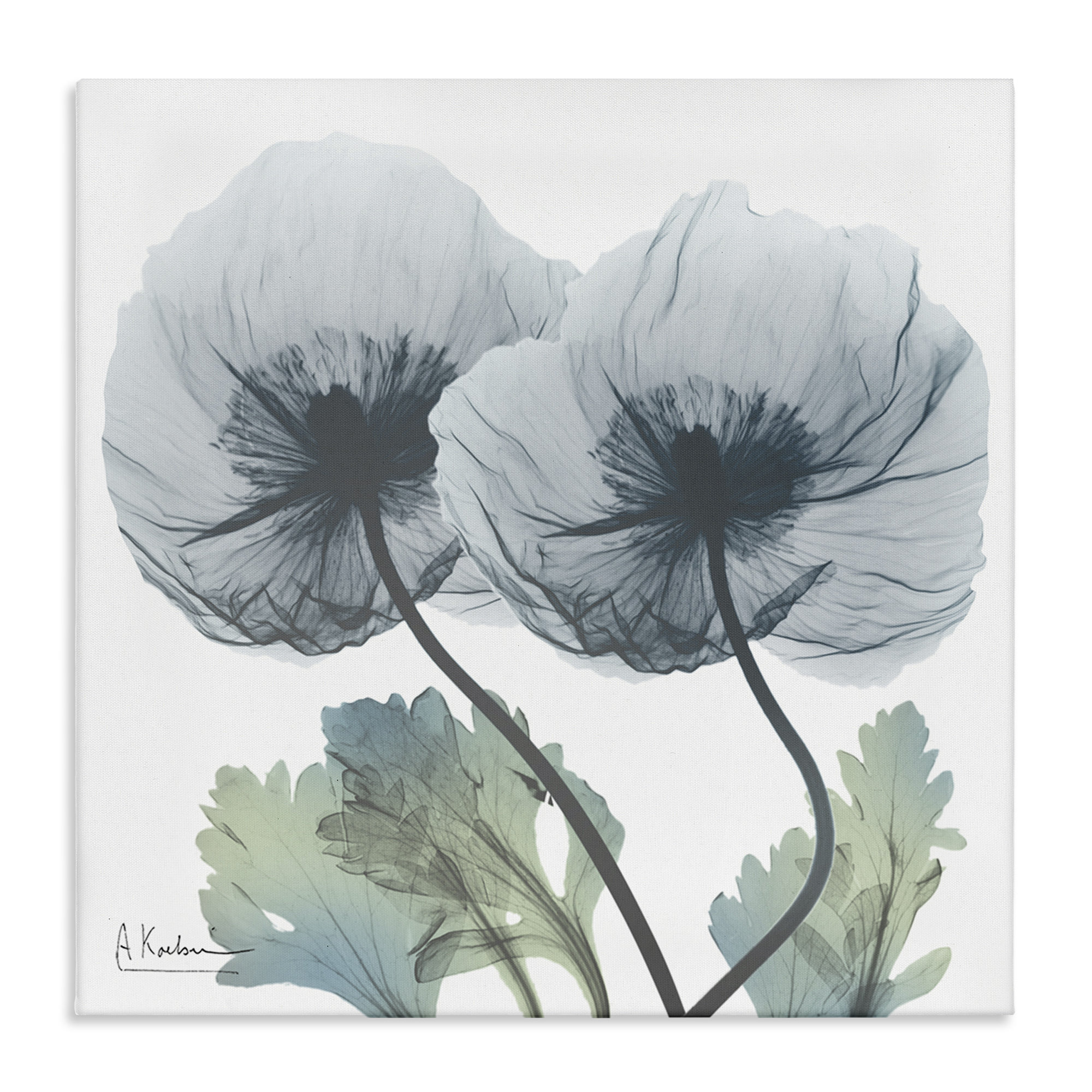 Ebern Designs Double Modern Flower Blossoms Canvas, design by Albert ...