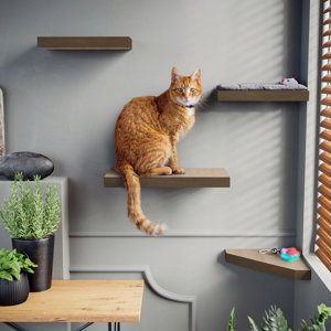 Archie & Oscar™ Skylar Cat Perch & Reviews | Wayfair
