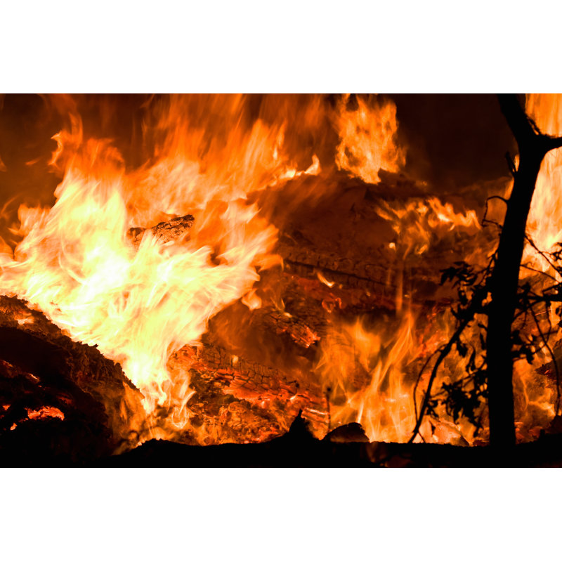 Ebern Designs «Rager Fire Destroying Trees» par Skhoward - Wayfair Canada