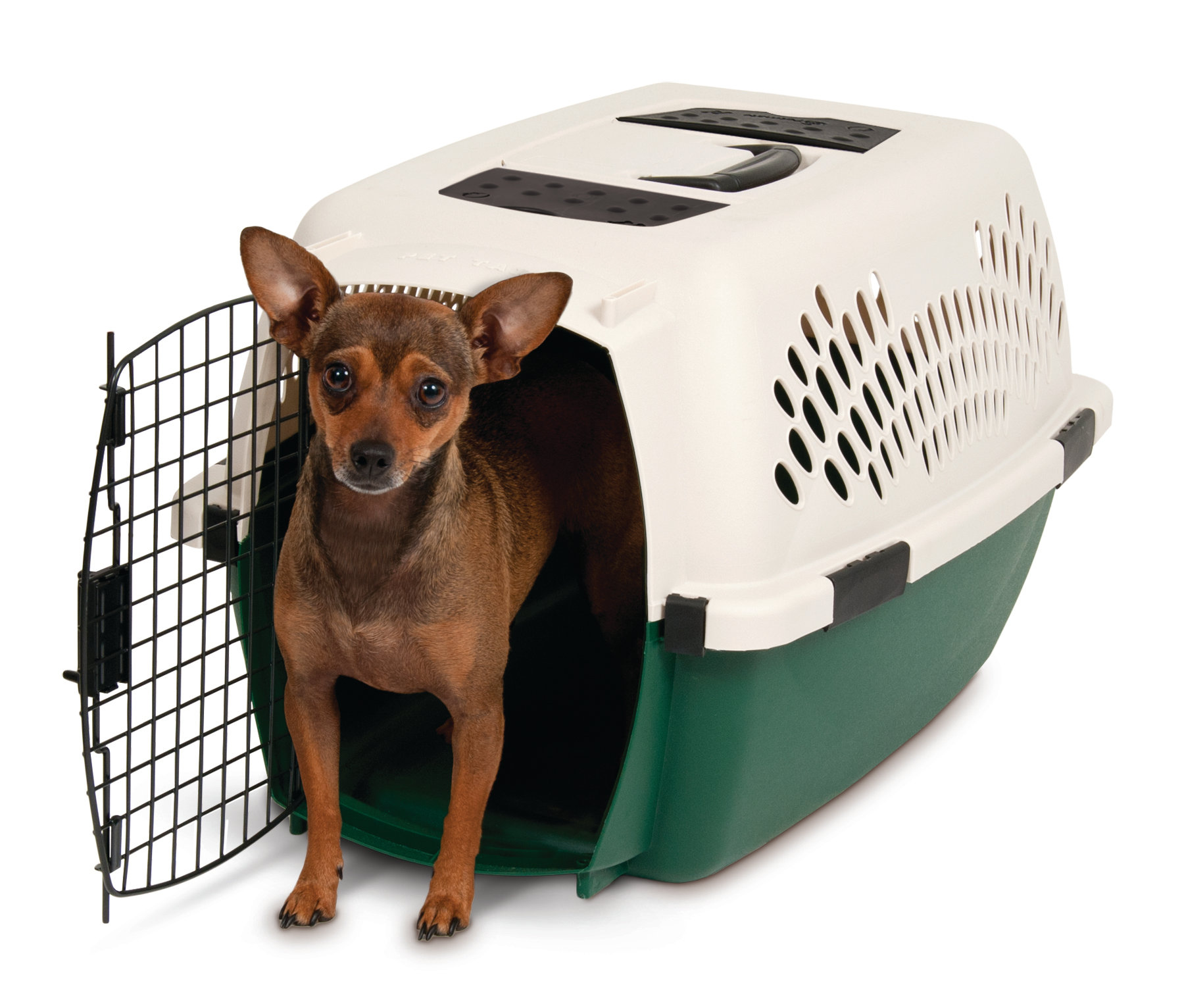 Ruff Maxx Plastic Dog Pet Carrier & Reviews | Wayfair