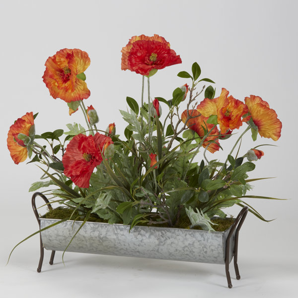 Primrue Poppy Arrangement in Planter - Wayfair Canada