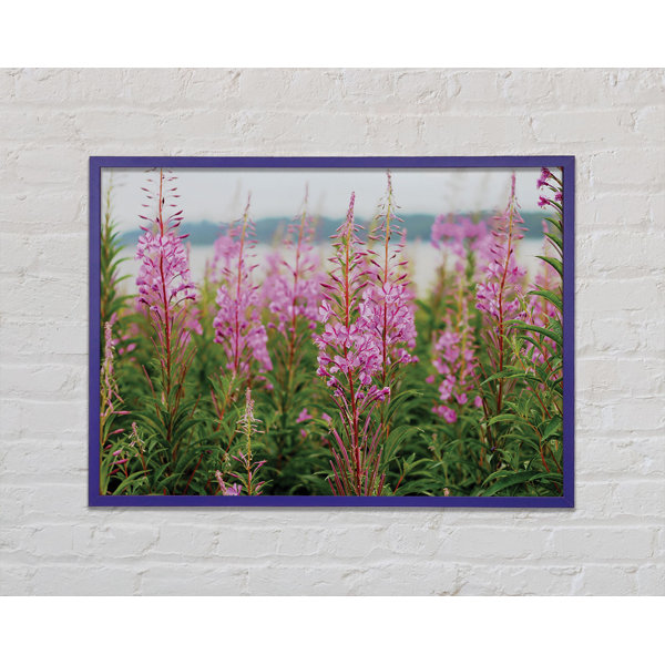 Brayden Studio Pink Flowers In Front Of The Stream - Single Picture ...