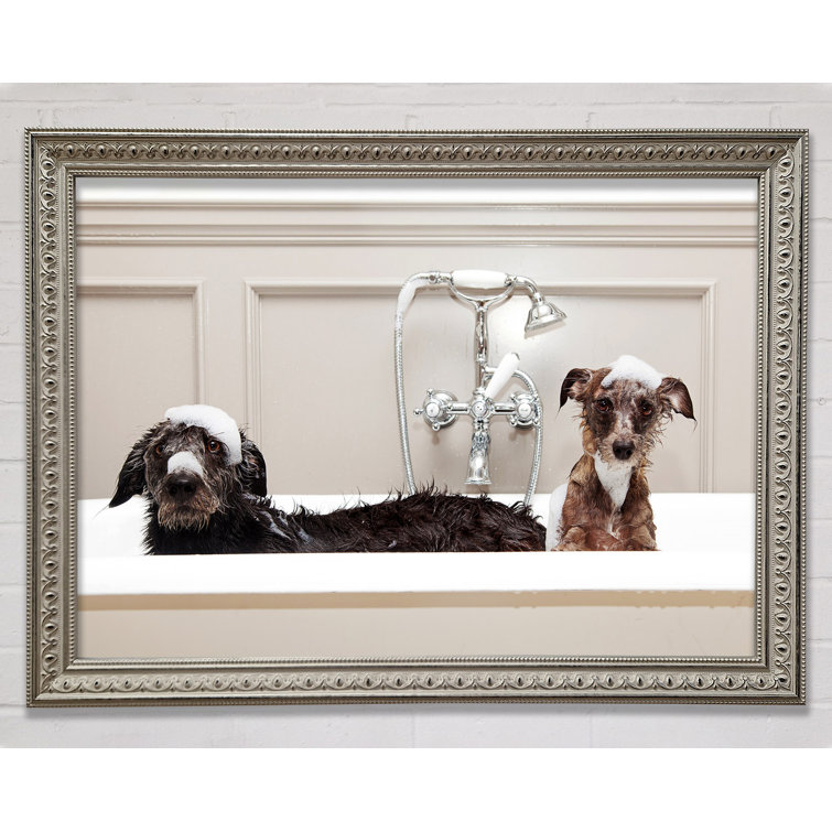 Ebern Designs Bath Time Dogs - Single Picture Frame Art Prints ...