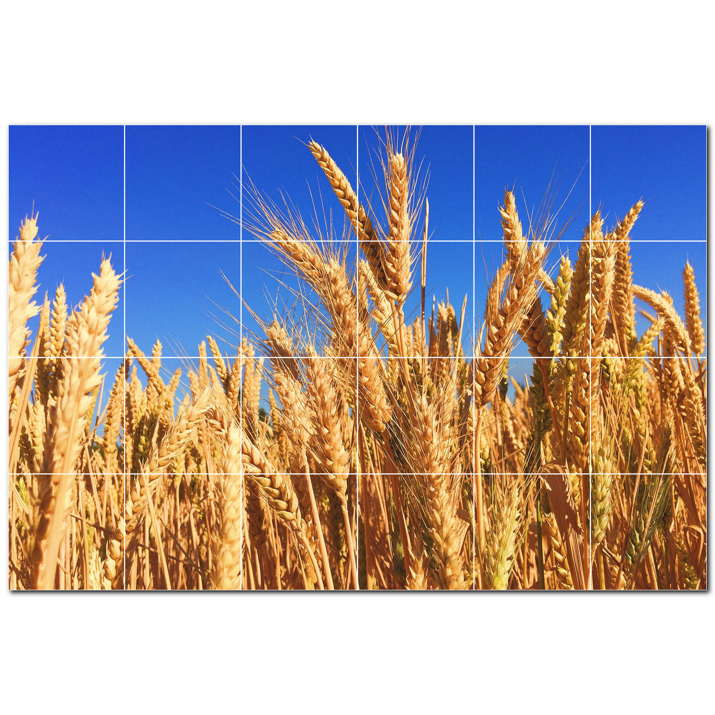 Picture-Tiles.com 72" x 48" Ceramic Farm Photo Decorative Mural Tile ...