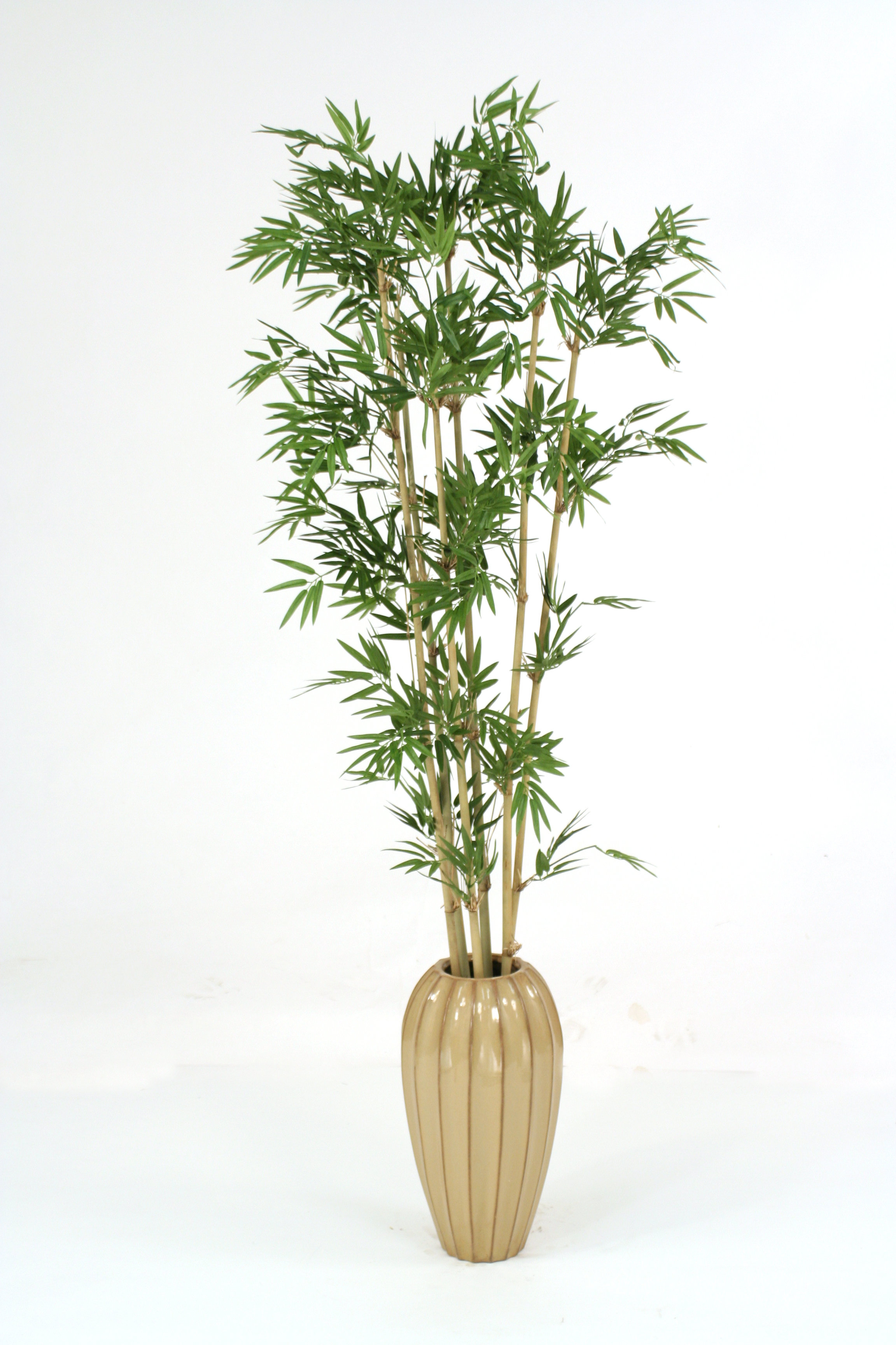 Distinctive Designs Bamboo Tree in Decorative Vase | Wayfair