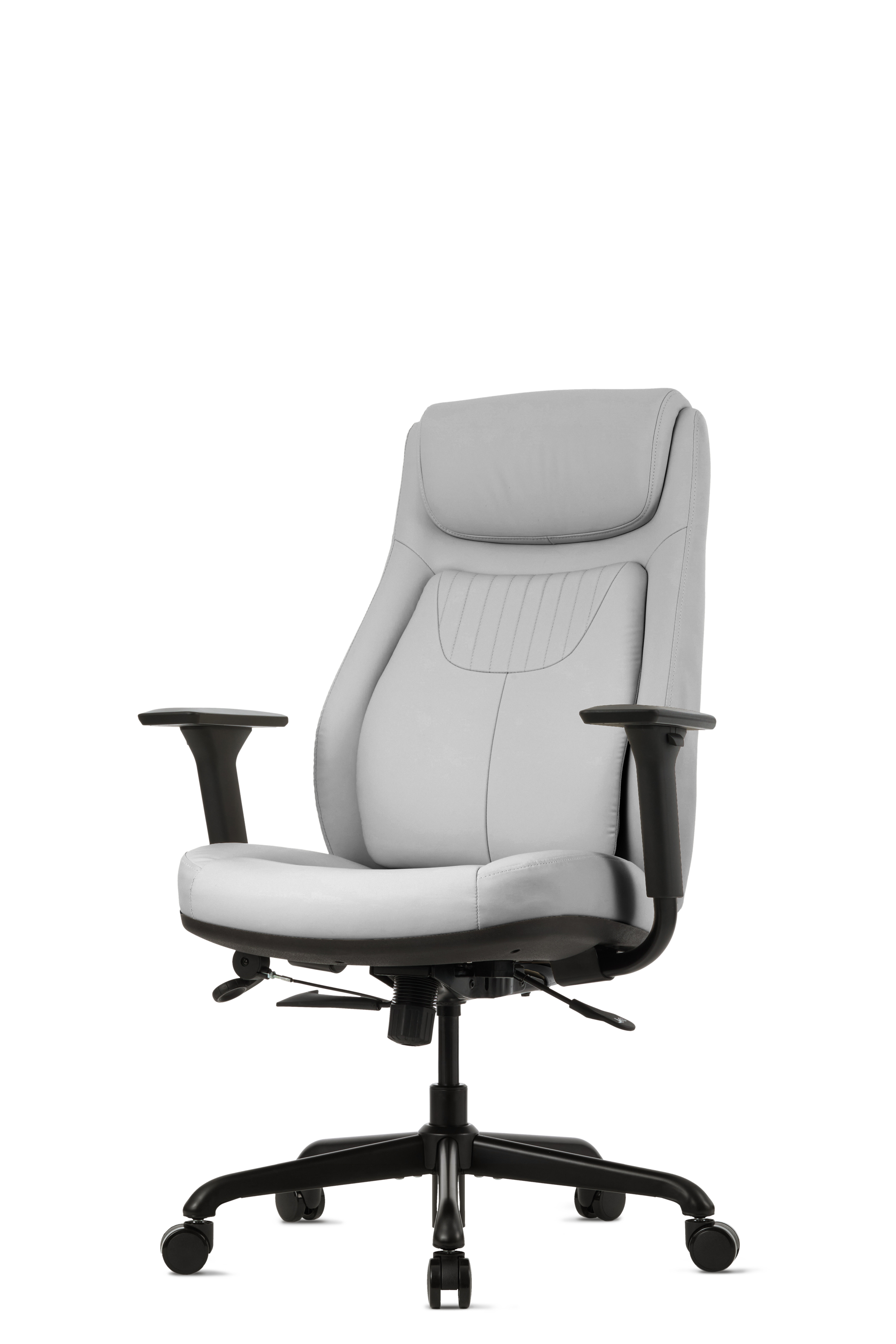 Wellnewlife Posturelift Ergonomic Office Chair | Wayfair
