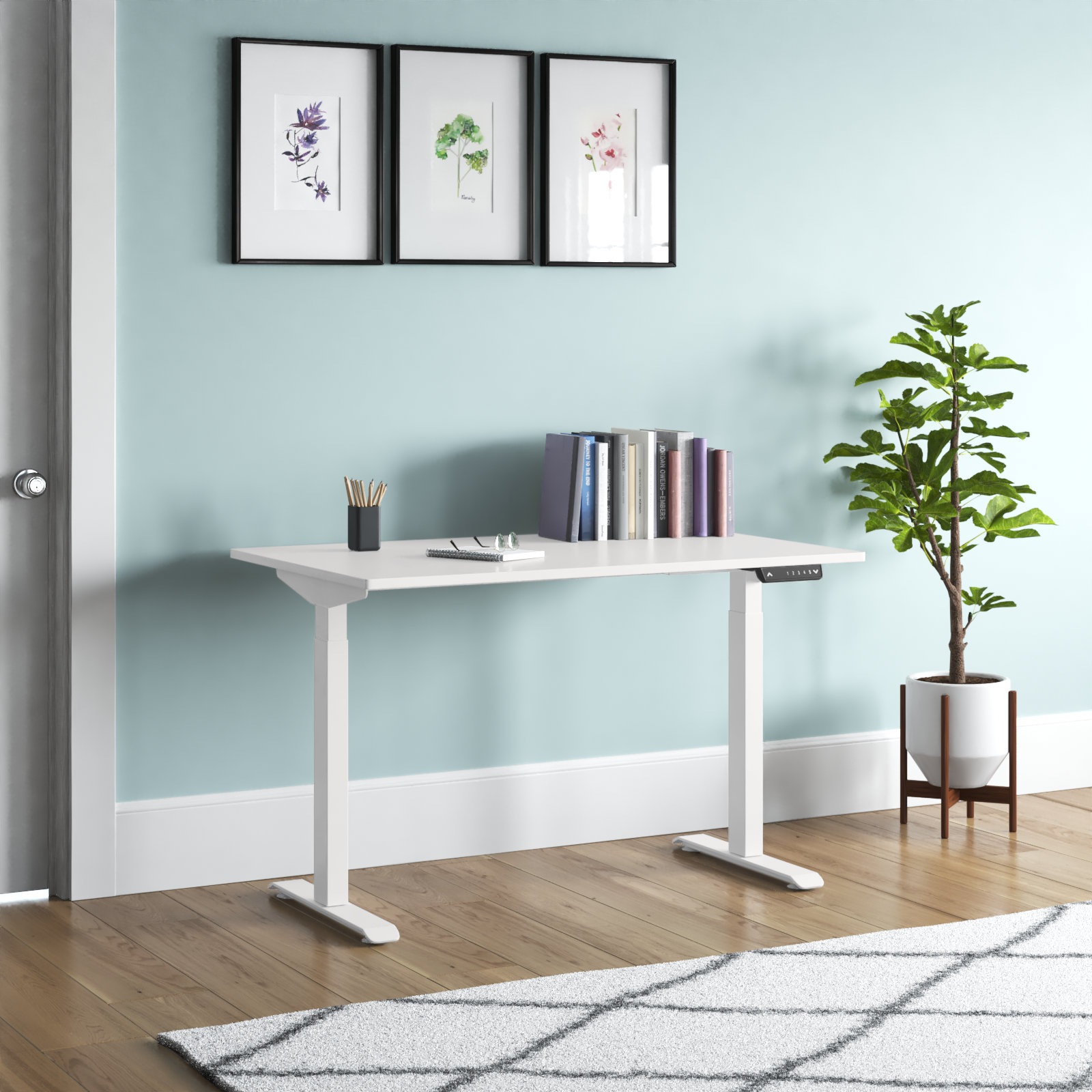 ALFA Furnishing Height Adjustable Standing Desk & Reviews | Wayfair