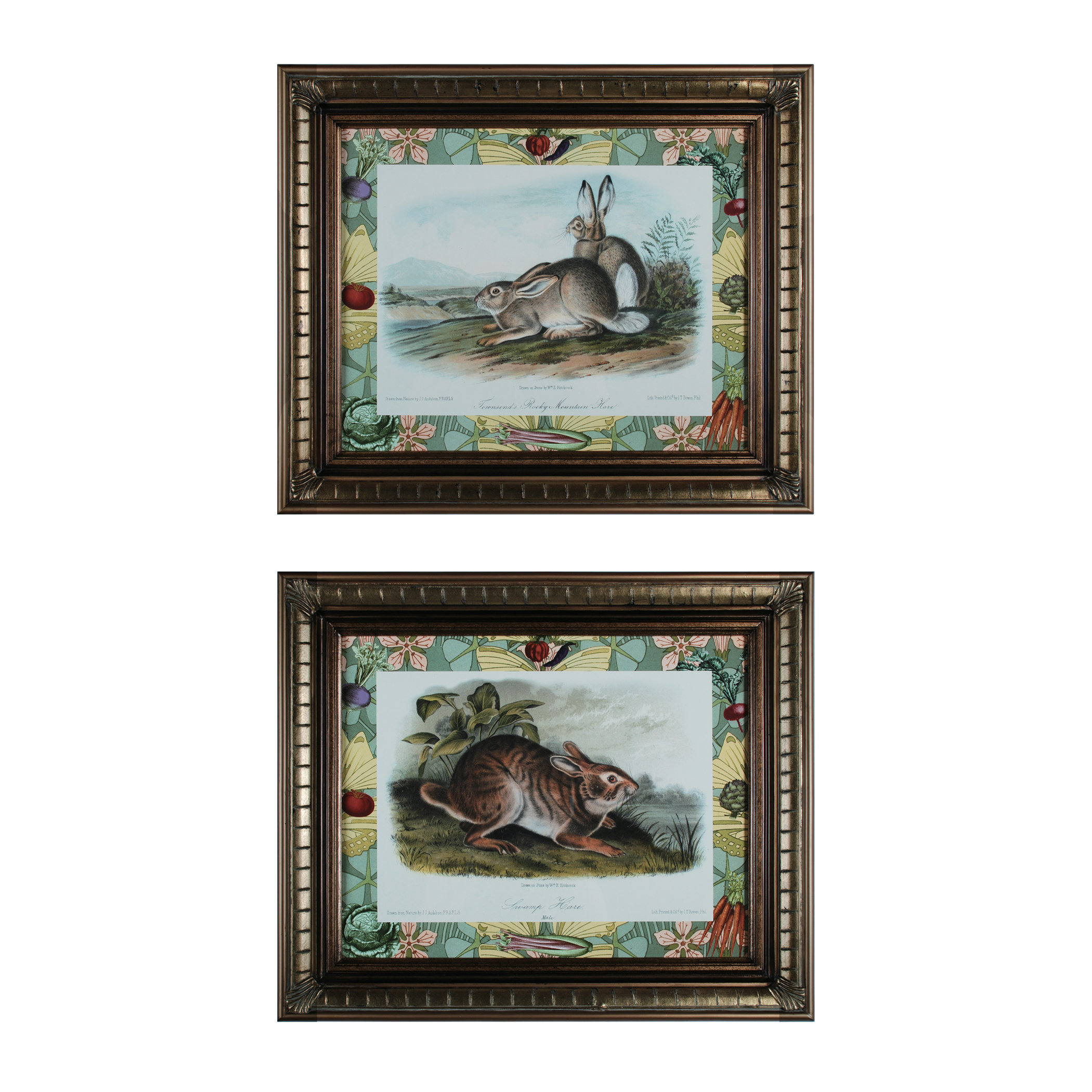 August Grove® 'Rabbits with Border' 2 Piece Framed Graphic Art Print ...