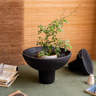 Loon Peak® Chela Wood Decorative Bowl in Black | Wayfair