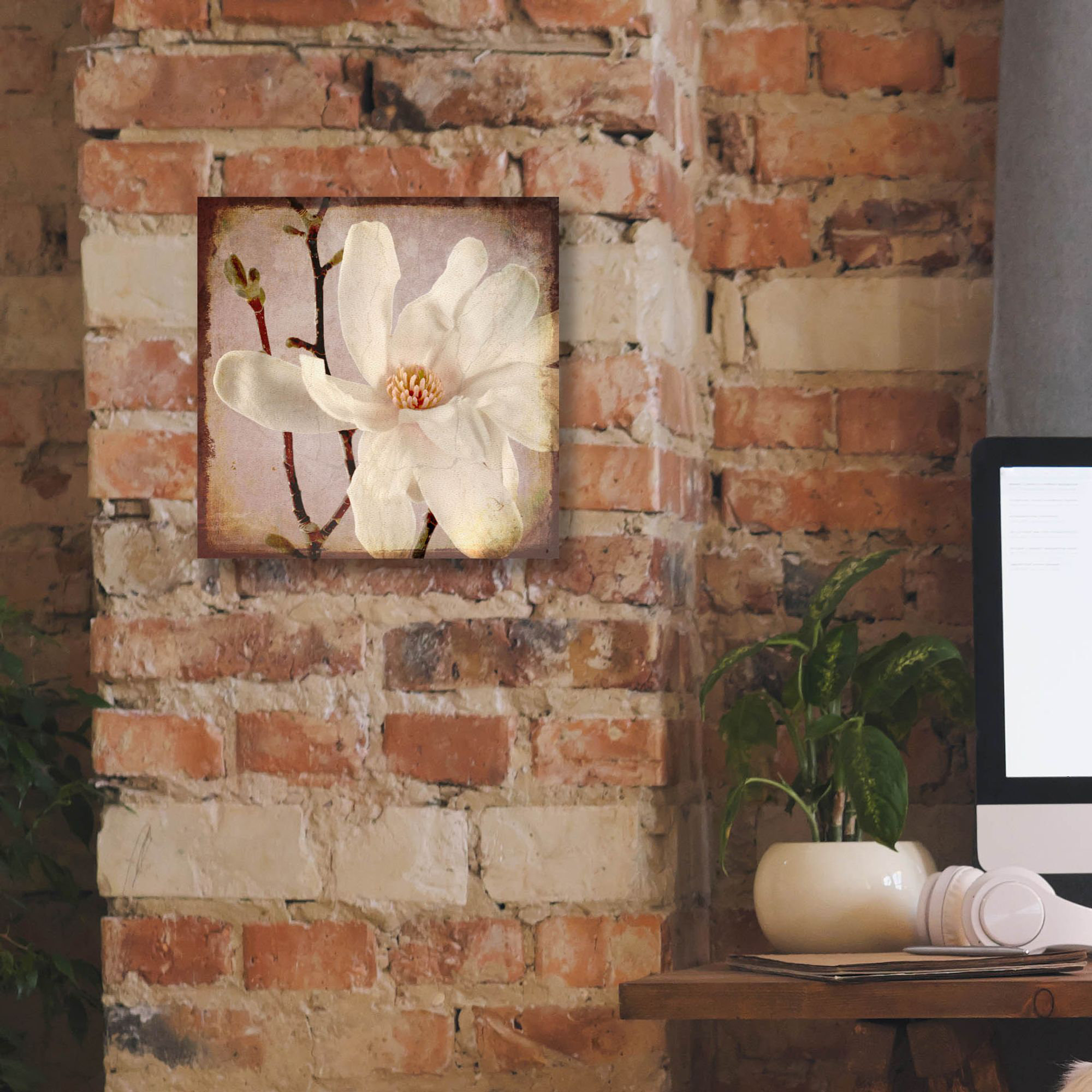 Red Barrel Studio® Paper Magnolia Closeup On Canvas by Lightbox Journal ...