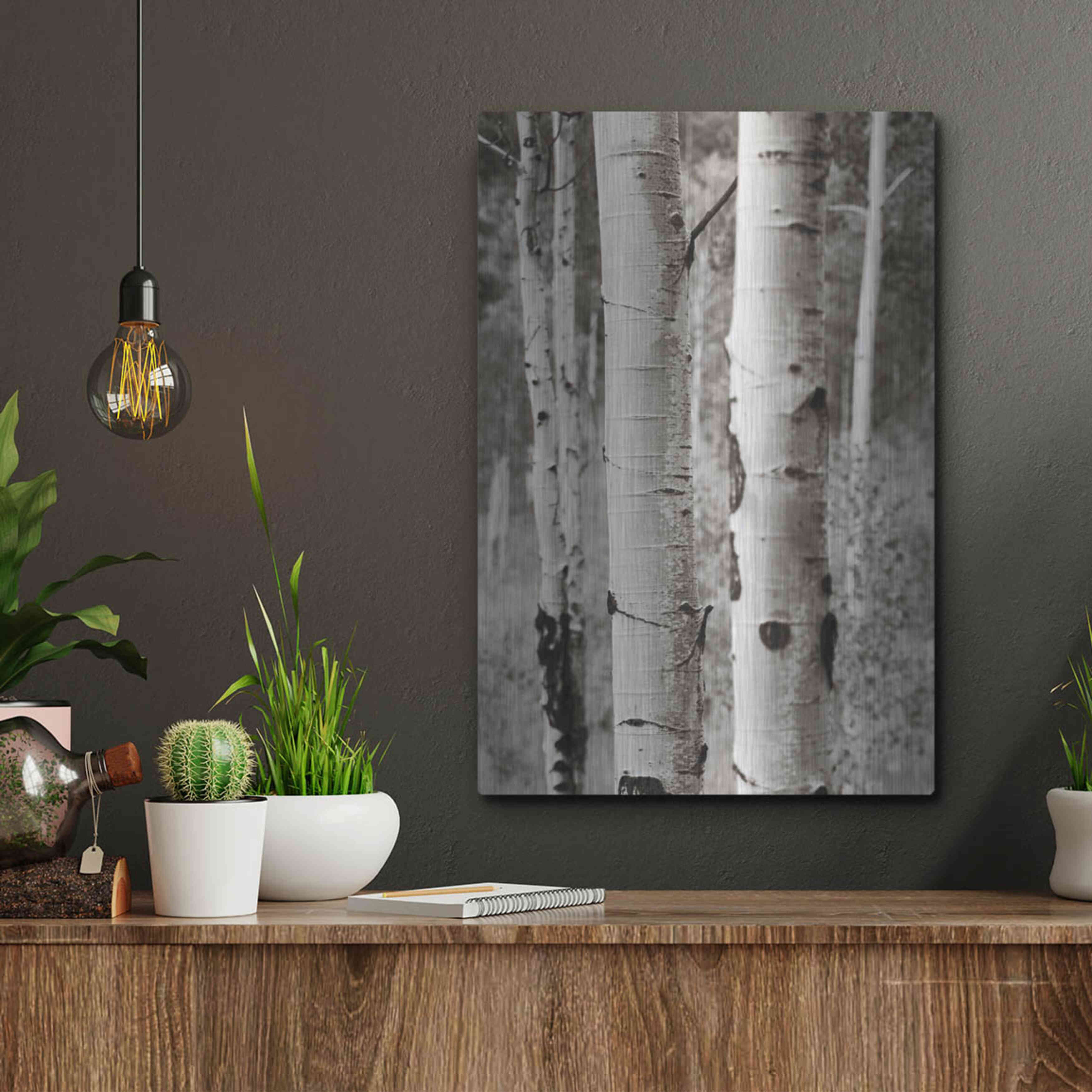 Millwood Pines " Aspens II " by Debra Van Swearingen | Wayfair
