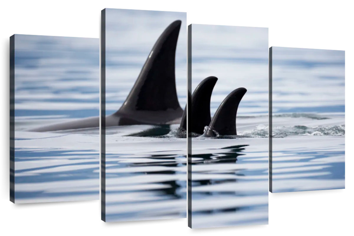 Ebern Designs Killer Whale Fins | Wayfair