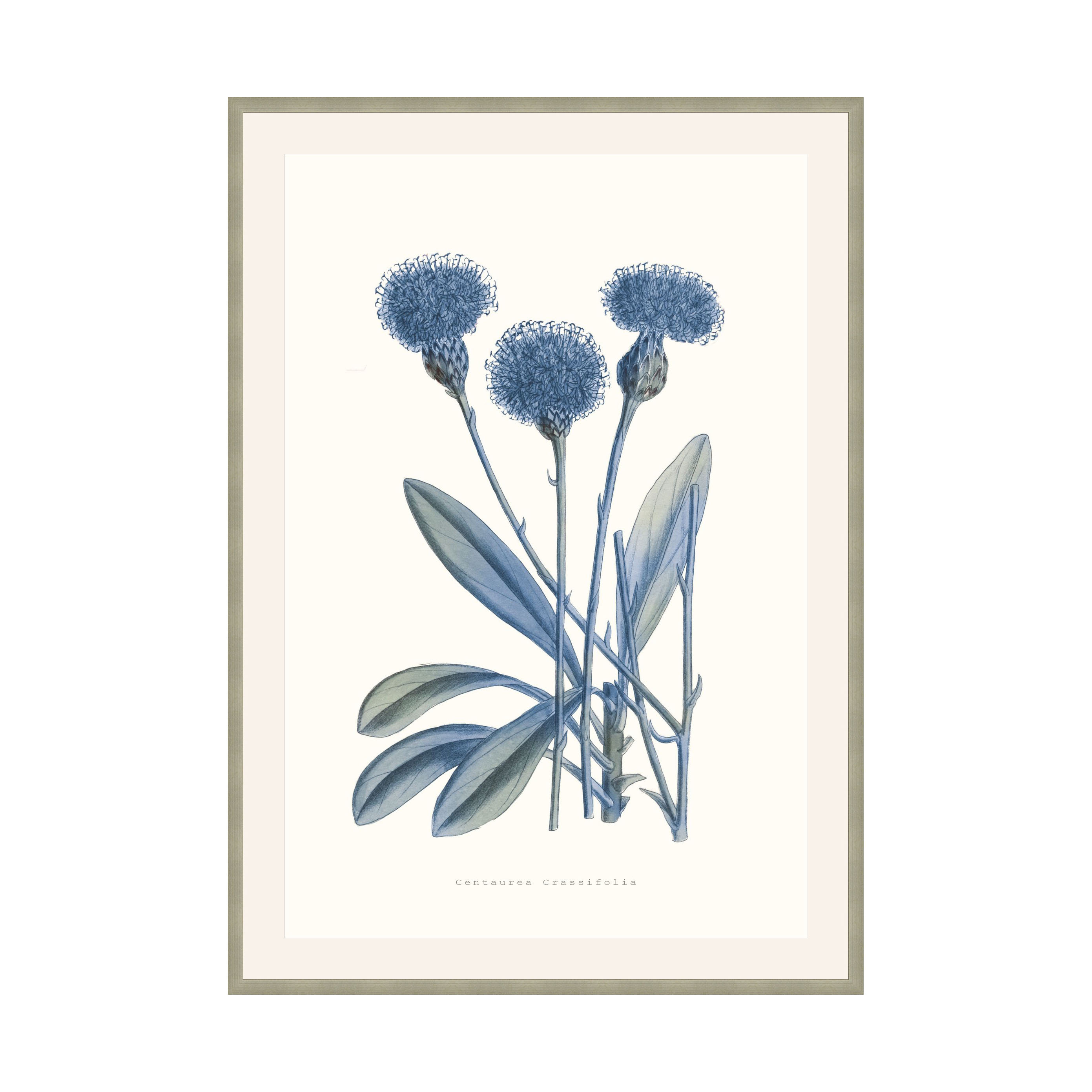 Theodore Alexander Bouquet Blue 1 Framed on Paper by Studio L57 ...