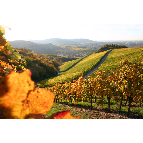 Millwood Pines Andonia " Autumn Vineyard " by Itakefotos4U | Wayfair