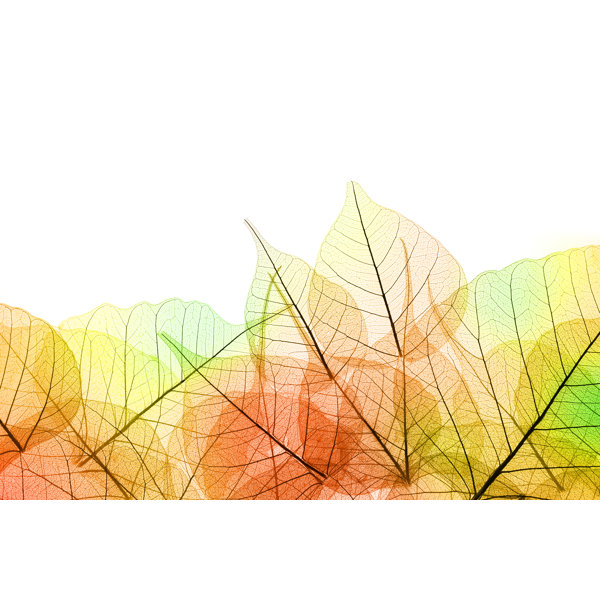 ClassicLiving Laruth Autumn Transparent Leaves - Wrapped Canvas Print ...