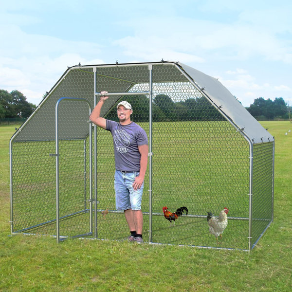 Archie & Oscar™ Brightling Chicken Run with Wire Mesh & Reviews | Wayfair