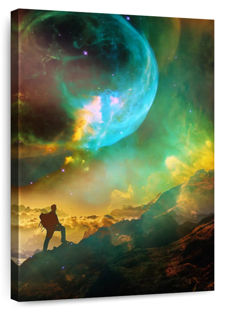 Ebern Designs Senne Vibrant Space Hiker | Wayfair