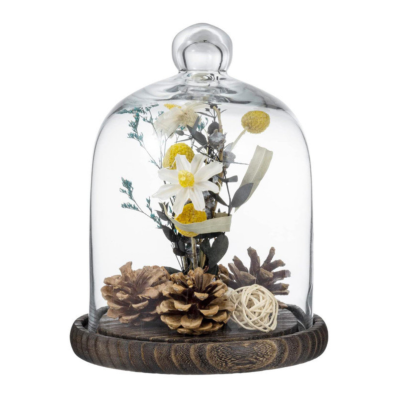 Loon Peak® Clear Cloche Glass Dome, Display Bell Jar with Top Handle ...