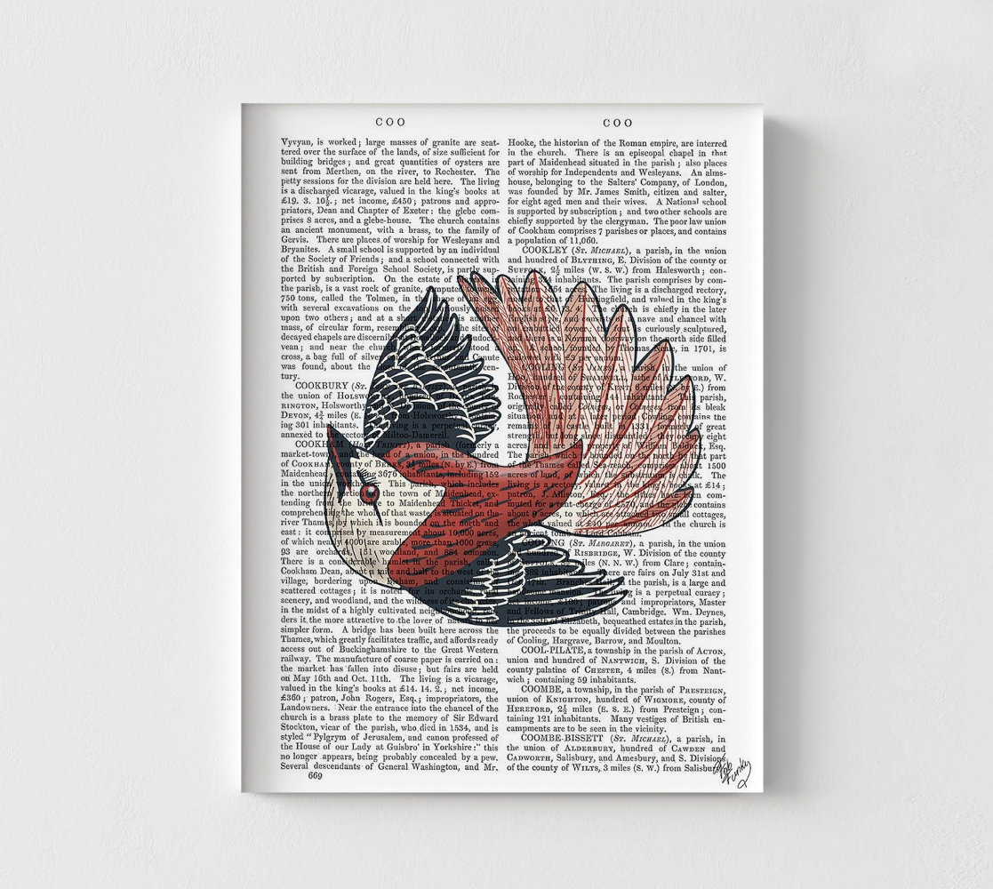 WeFrameArt Sideshow Bird 2 Book Print By Fab Funky, Rustic Bird Library ...