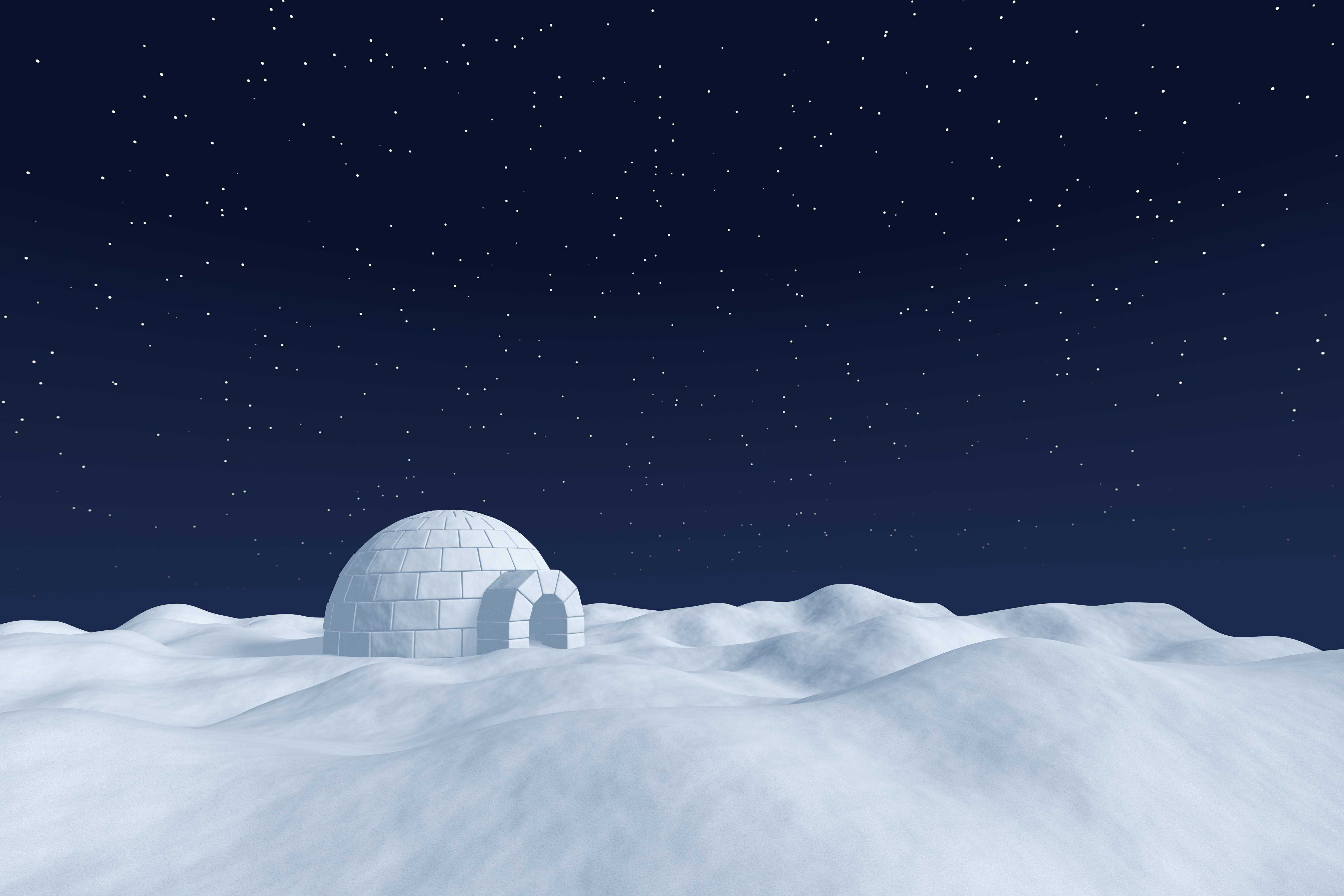 Ebern Designs Igloo Icehouse - Wrapped Canvas Photograph | Wayfair