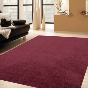 Latitude Run® Modern Plush Solid Color Rug - Cranberry, Pet and Kids ...