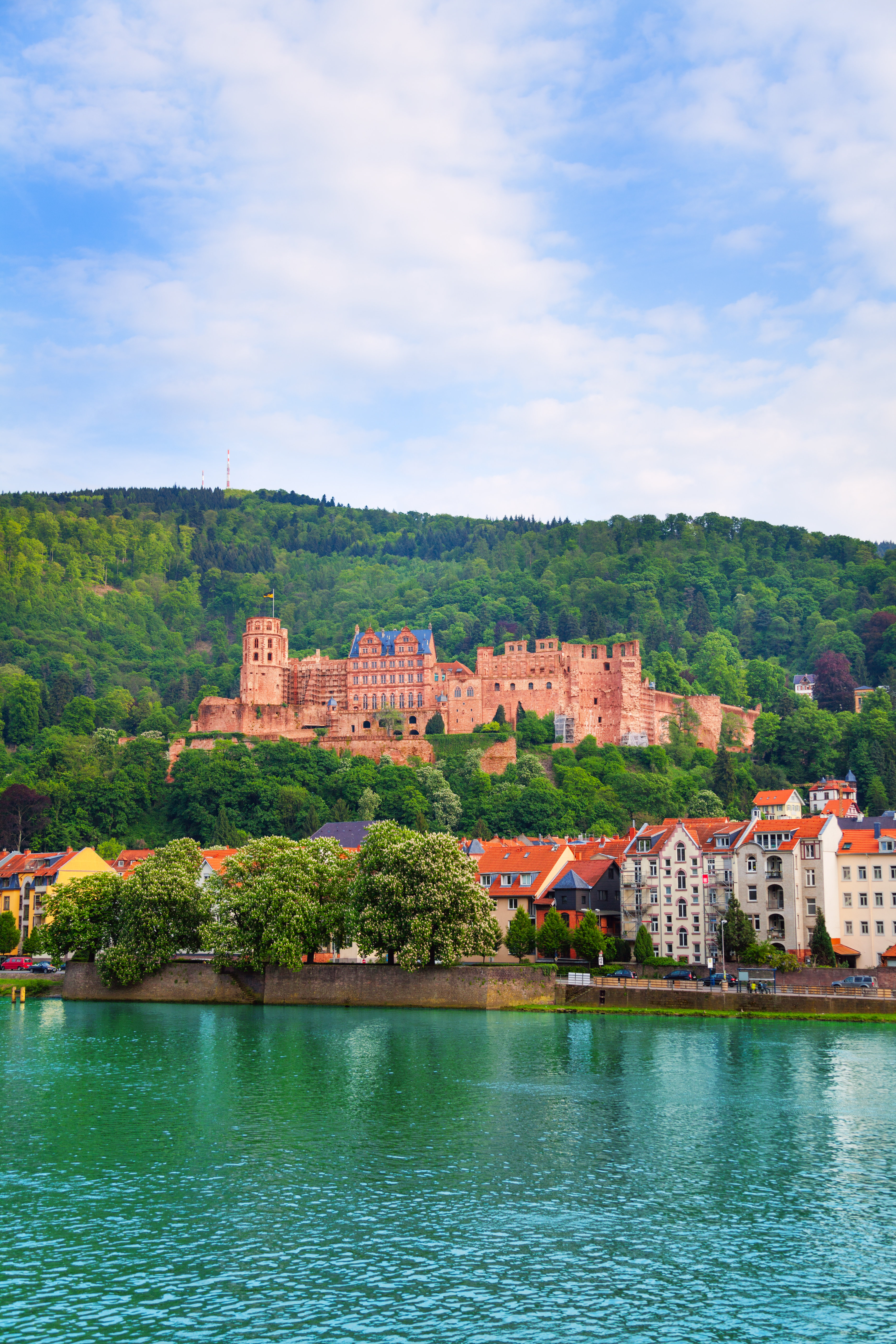 Alpen Home Neckar River by Serrnovik - Wrapped Canvas Photograph ...