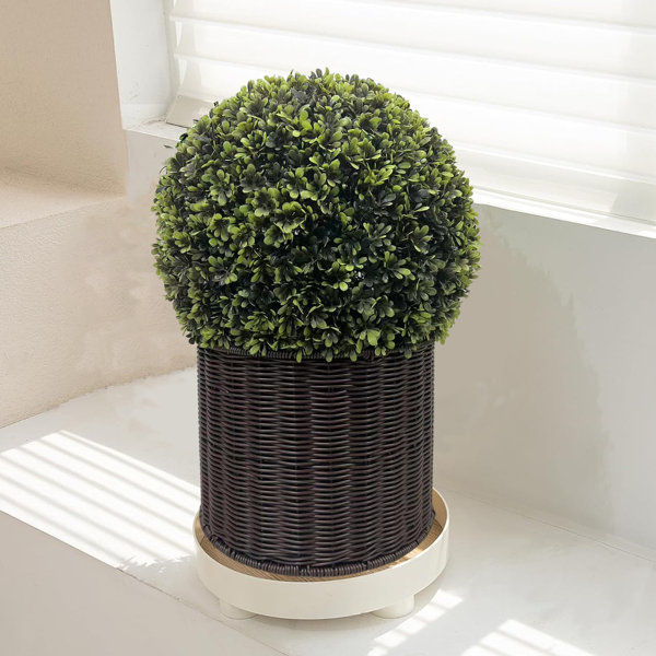 Primrue 20" Artificial Boxwood Topiary in Pot | Wayfair