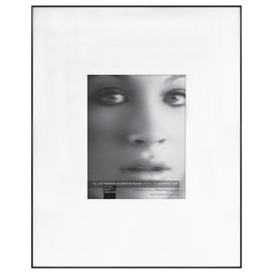 Framatic Fineline Metal Picture Frame & Reviews | Wayfair