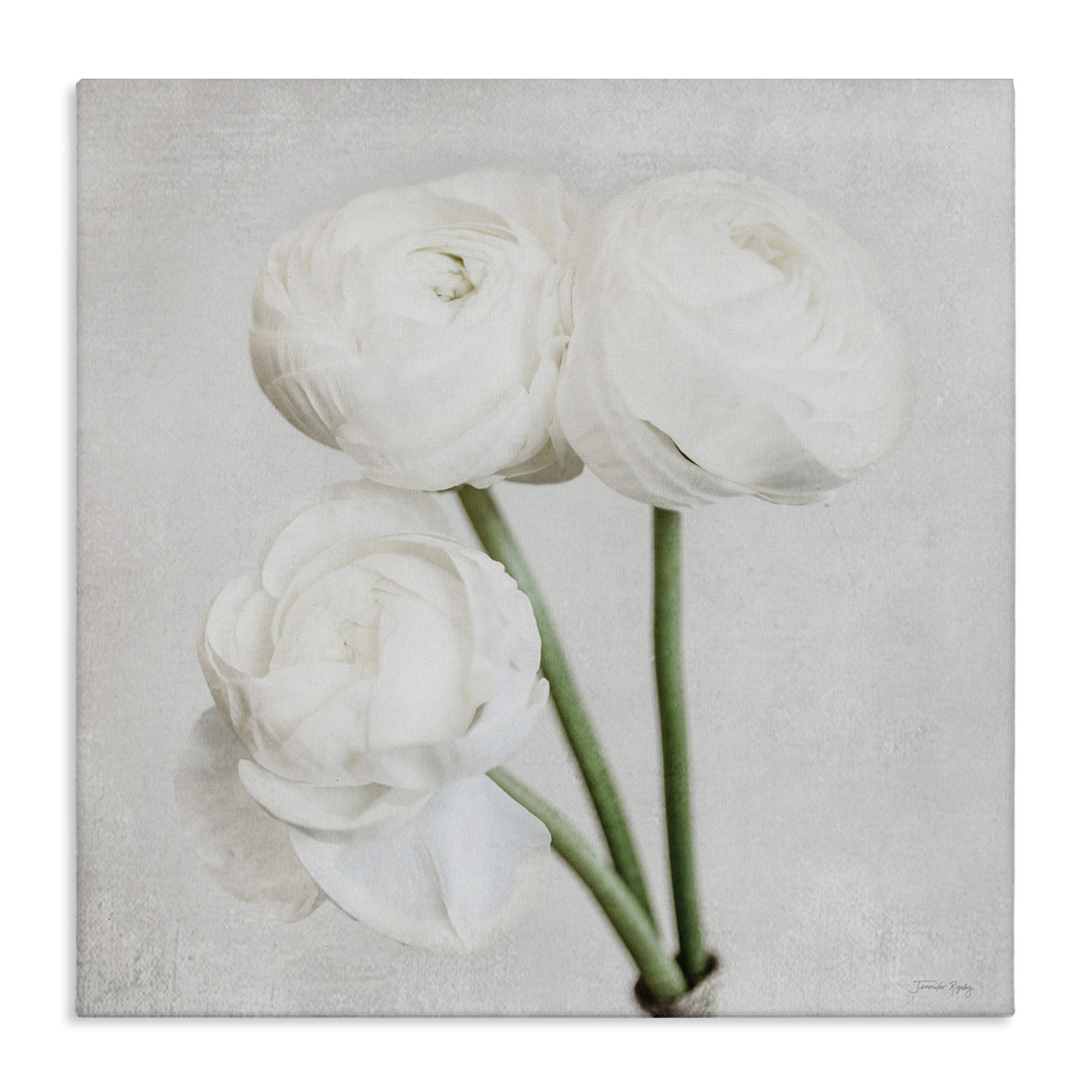 Winston Porter Charming Peony Trio Canvas Wall Art by Jennifer Rigsby ...