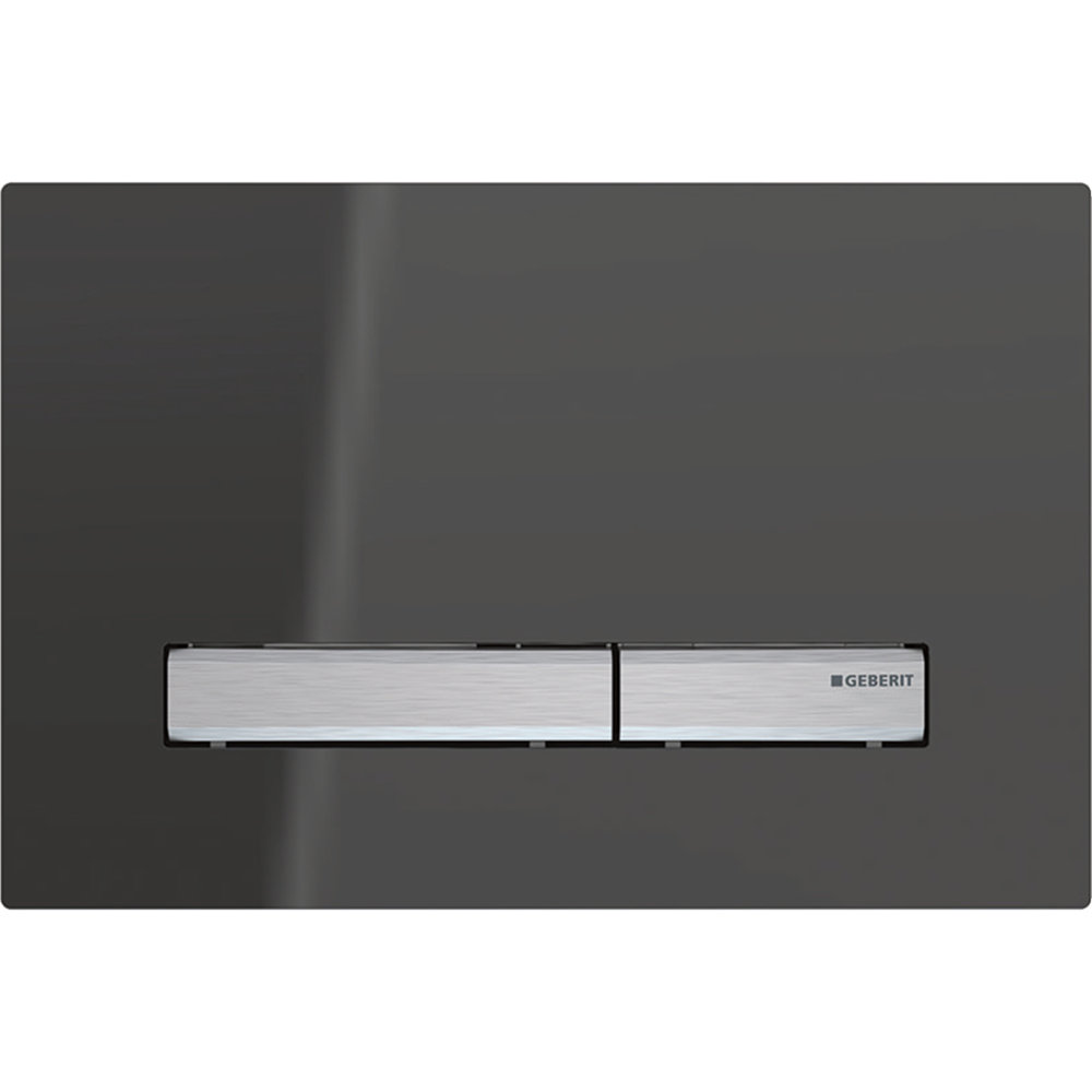 Geberit Sigma 50 Smoked Glass Reflective Dual Flush Plate | Wayfair.co.uk