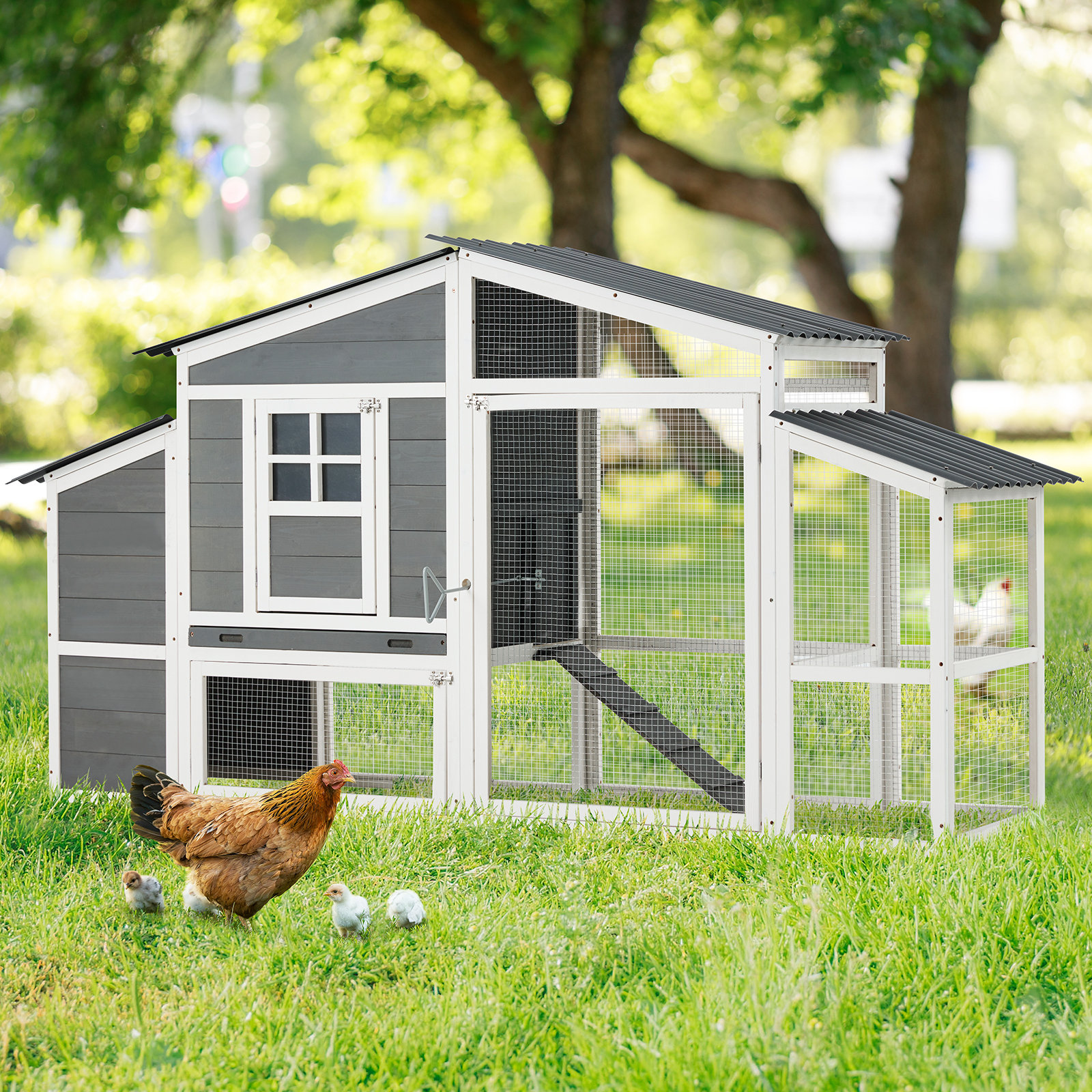 AECOJOY 81” Large Chicken Coop with Chicken Run & Reviews | Wayfair