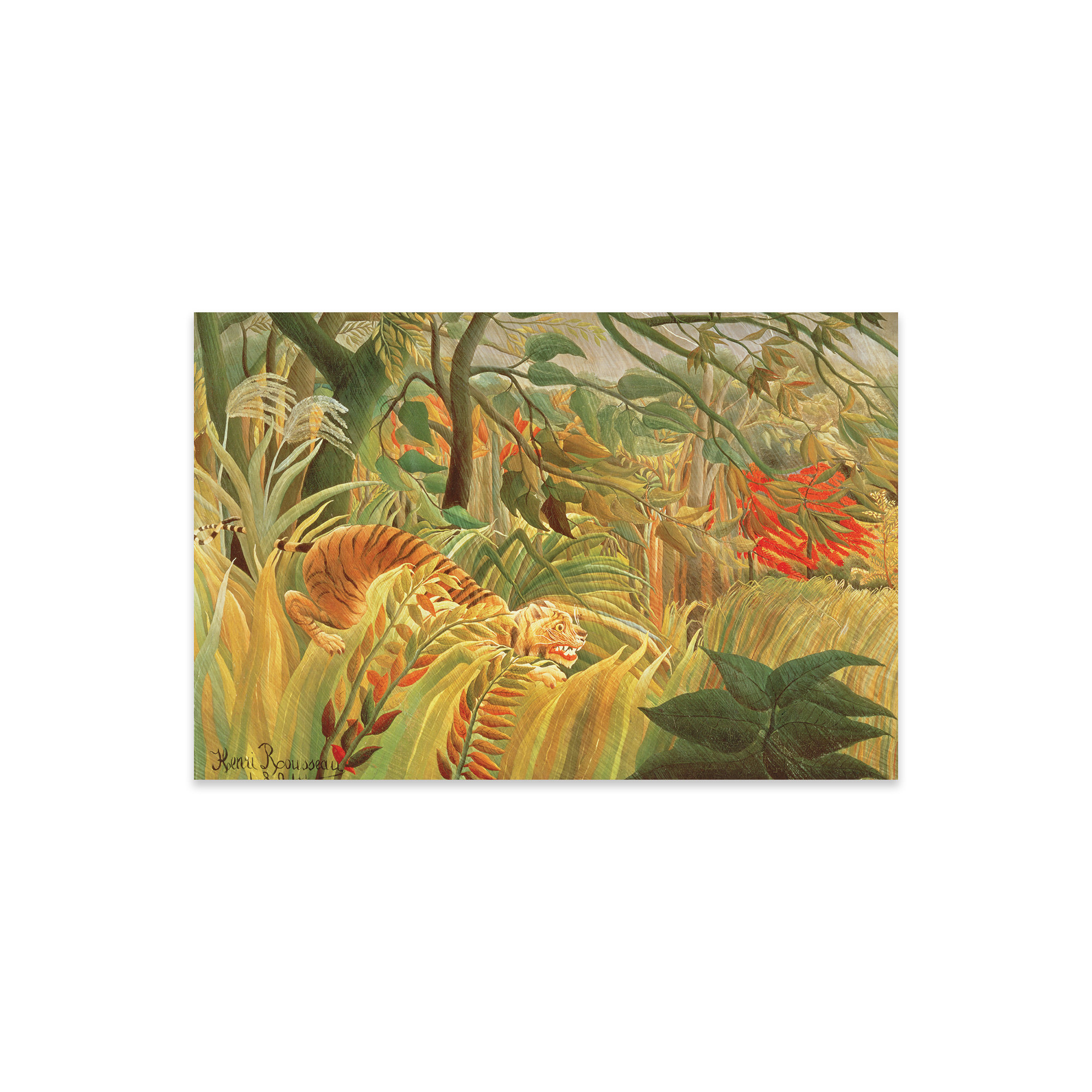 Bungalow Rose Tiger In A Tropical Storm (Surprised!), 1891 On Plastic ...