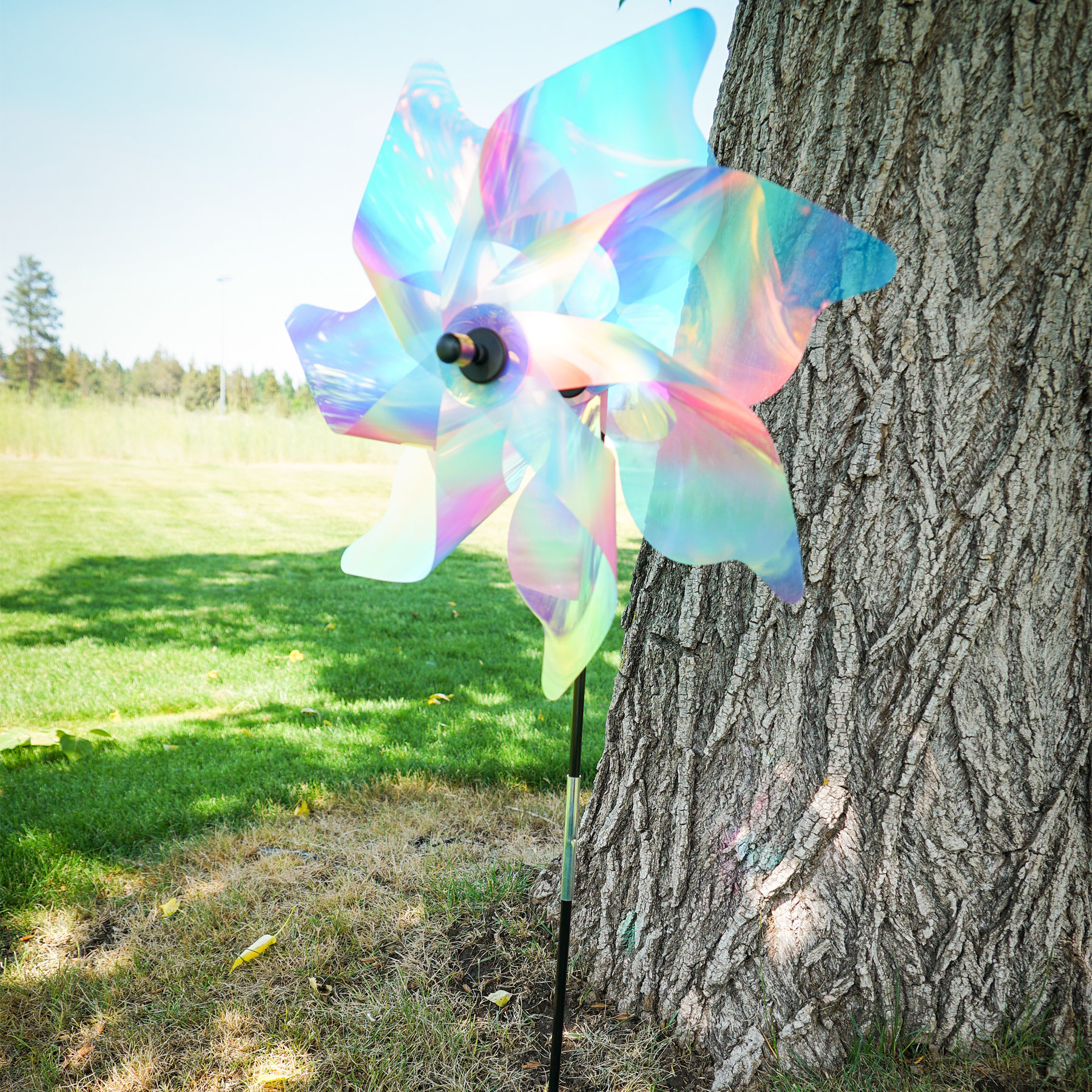 In The Breeze Striped Iridescent Pinwheel | Wayfair