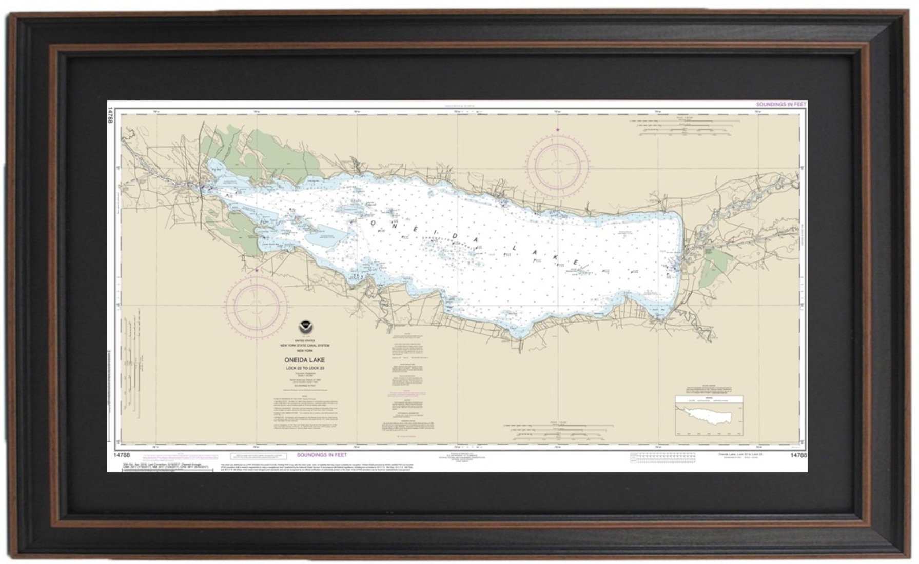 Longshore Tides Oneida Lake | Nautical Chart | Framed Print | Wayfair