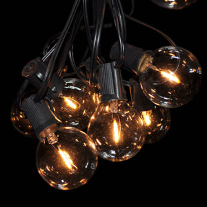 The Holiday Aisle® Hinman 25' Outdoor 25 - Bulb Globe String Light ...