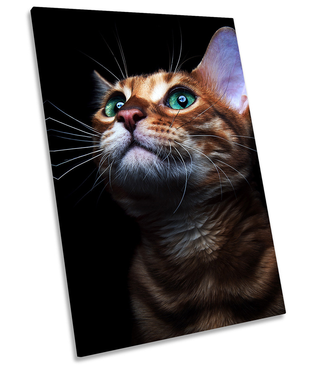 17 Stories Cat Eyes Print CANVAS WALL ART Portrait Picture Black ...