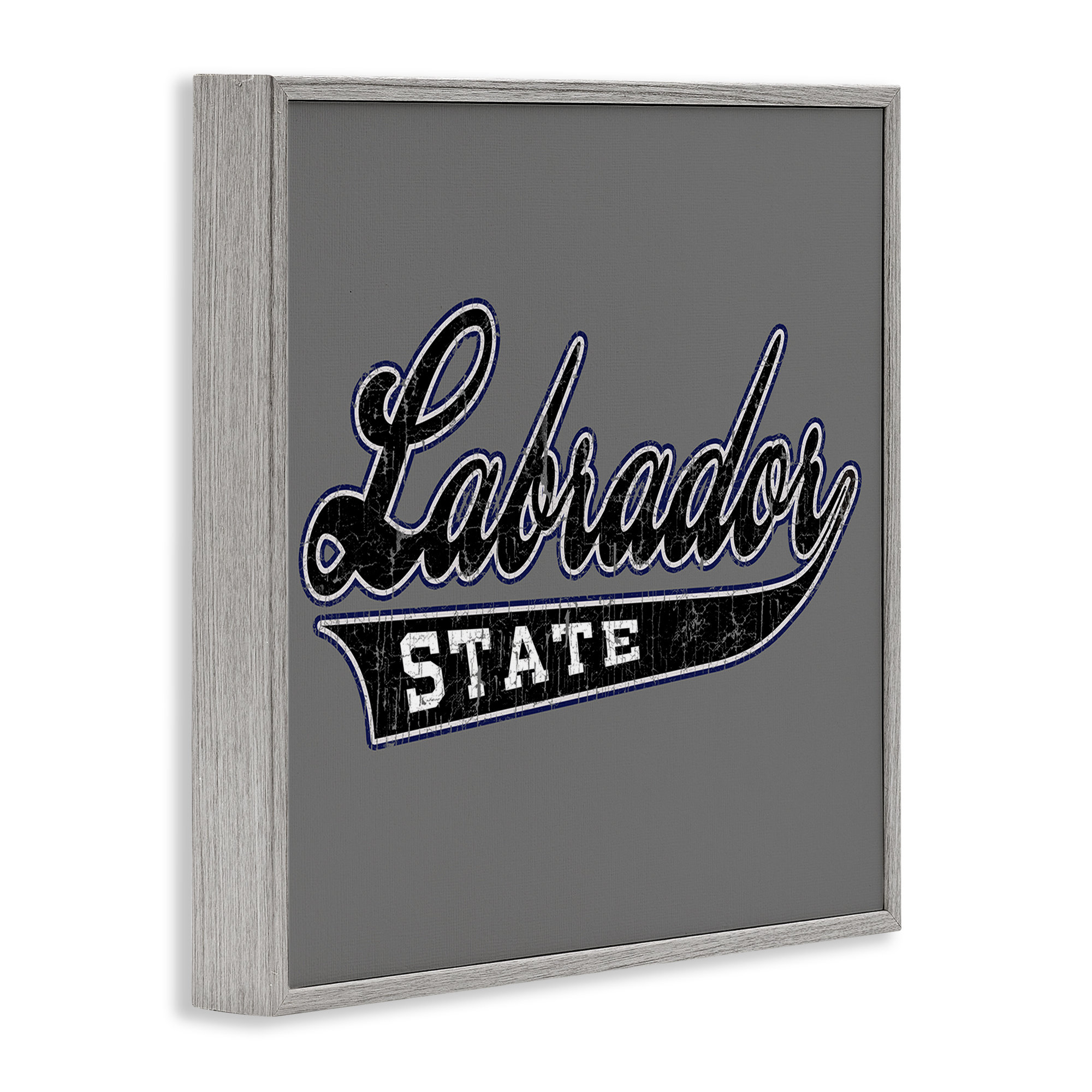 Ophelia & Co. Varsity Labrador State College Giclee Art by Spirit ...