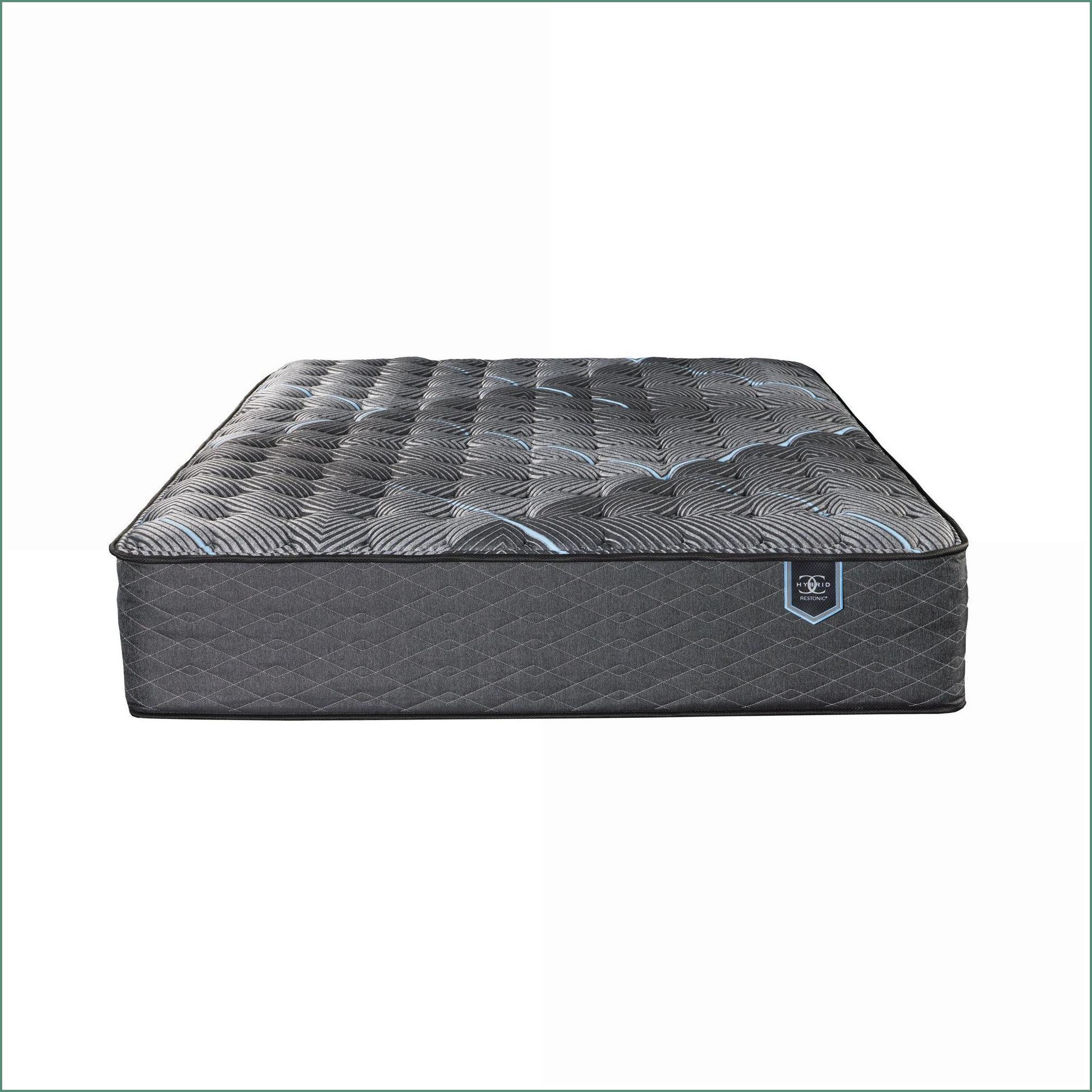 Alwyn Home Mattresses Euro Top Plush Hybrid Cooling Mattress with ...