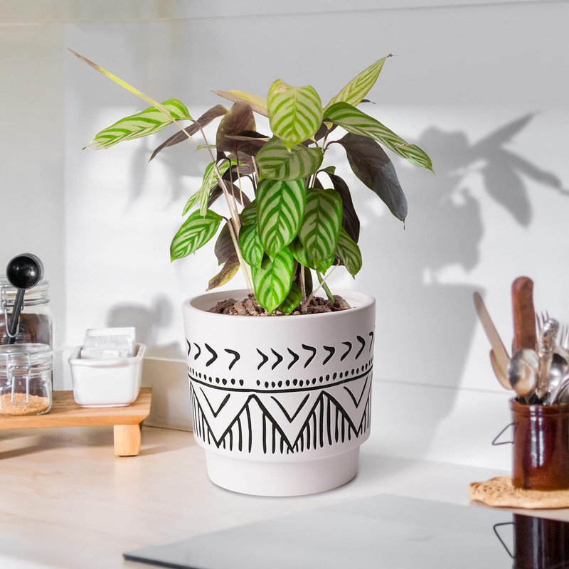 Union Rustic Landri 2 - Piece Ceramic Pot Planter | Wayfair