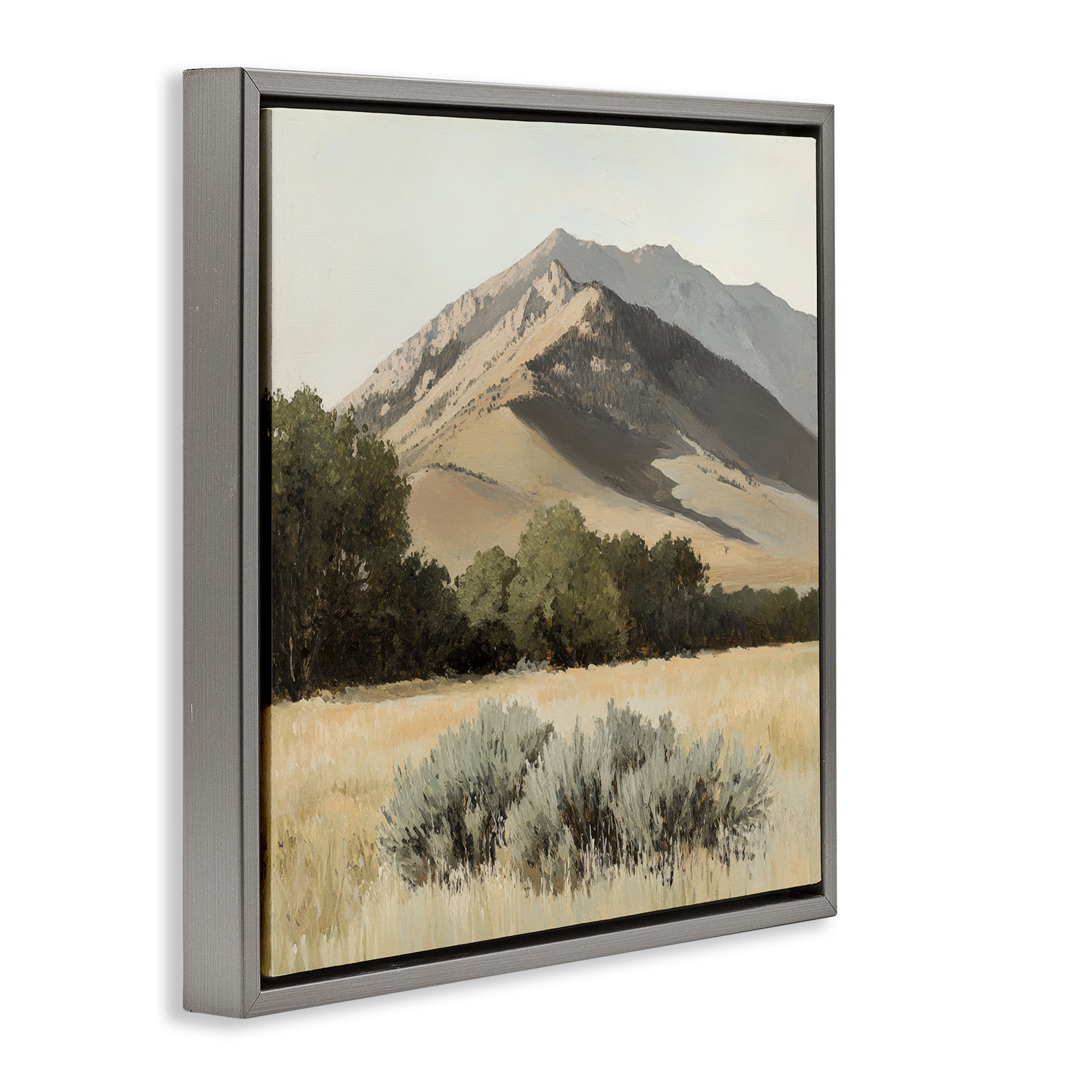 Latitude Run® Mountain Ridgeline Landscape Floating Frame, design by ...