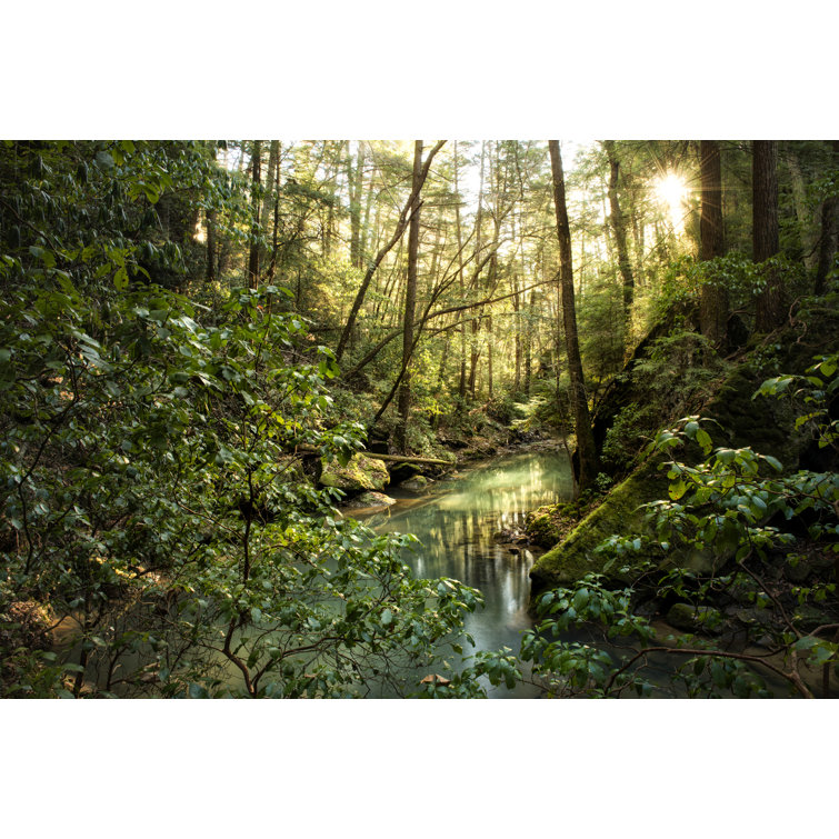 Union Rustic Filtered Light II by Danny Head - Photograph | Wayfair.co.uk