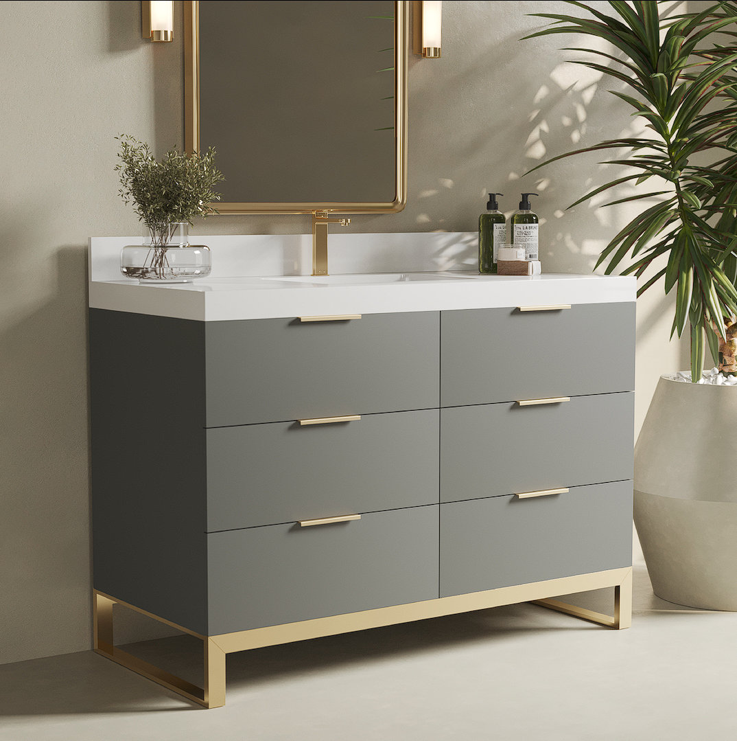 Hokku Designs Erbey 48'' Single Bathroom Vanity with Quartz Vanity Top ...