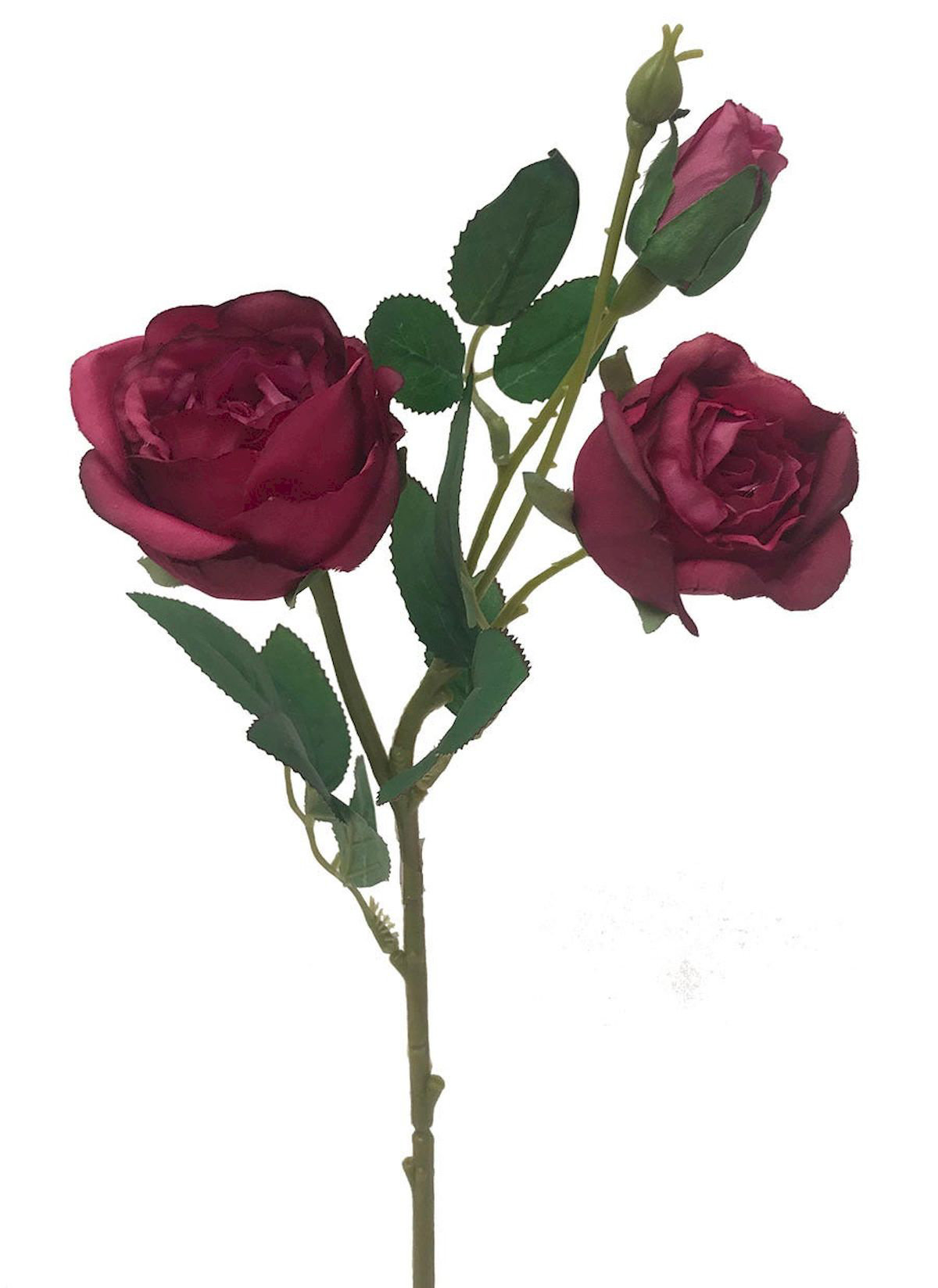 Primrue Roses Stems | Wayfair