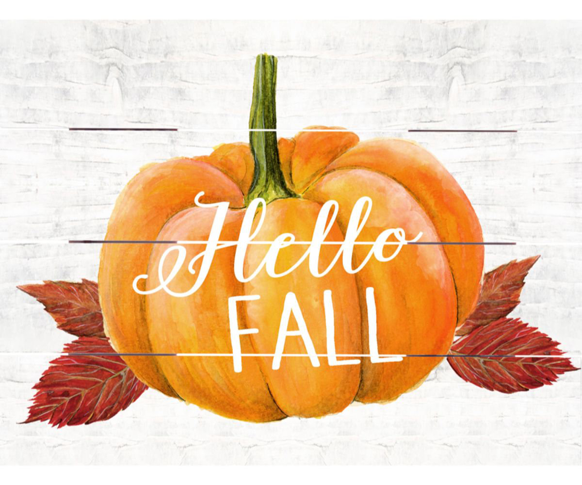The Holiday Aisle® Hello Fall Wall Décor | Wayfair