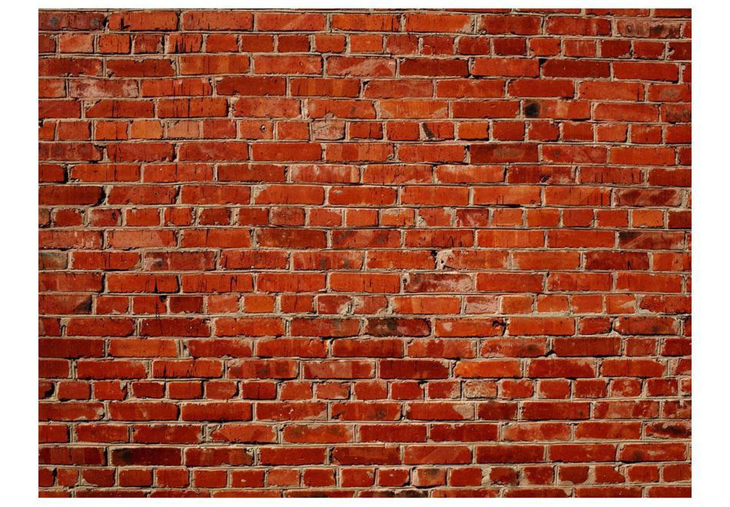 Williston Forge Daryell Brick Wall Wall Mural - Wayfair Canada