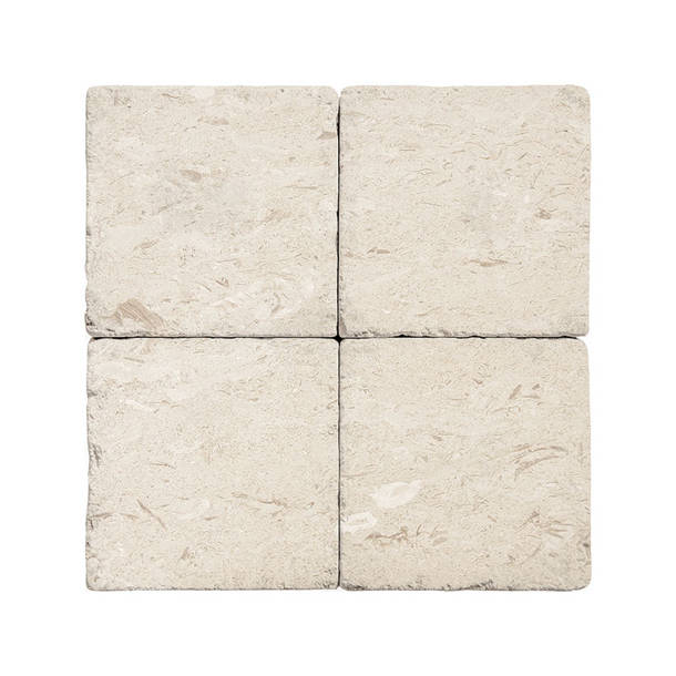 Parvatile Fossil Stone Random Sized Limestone Marble Look Wall & Floor ...