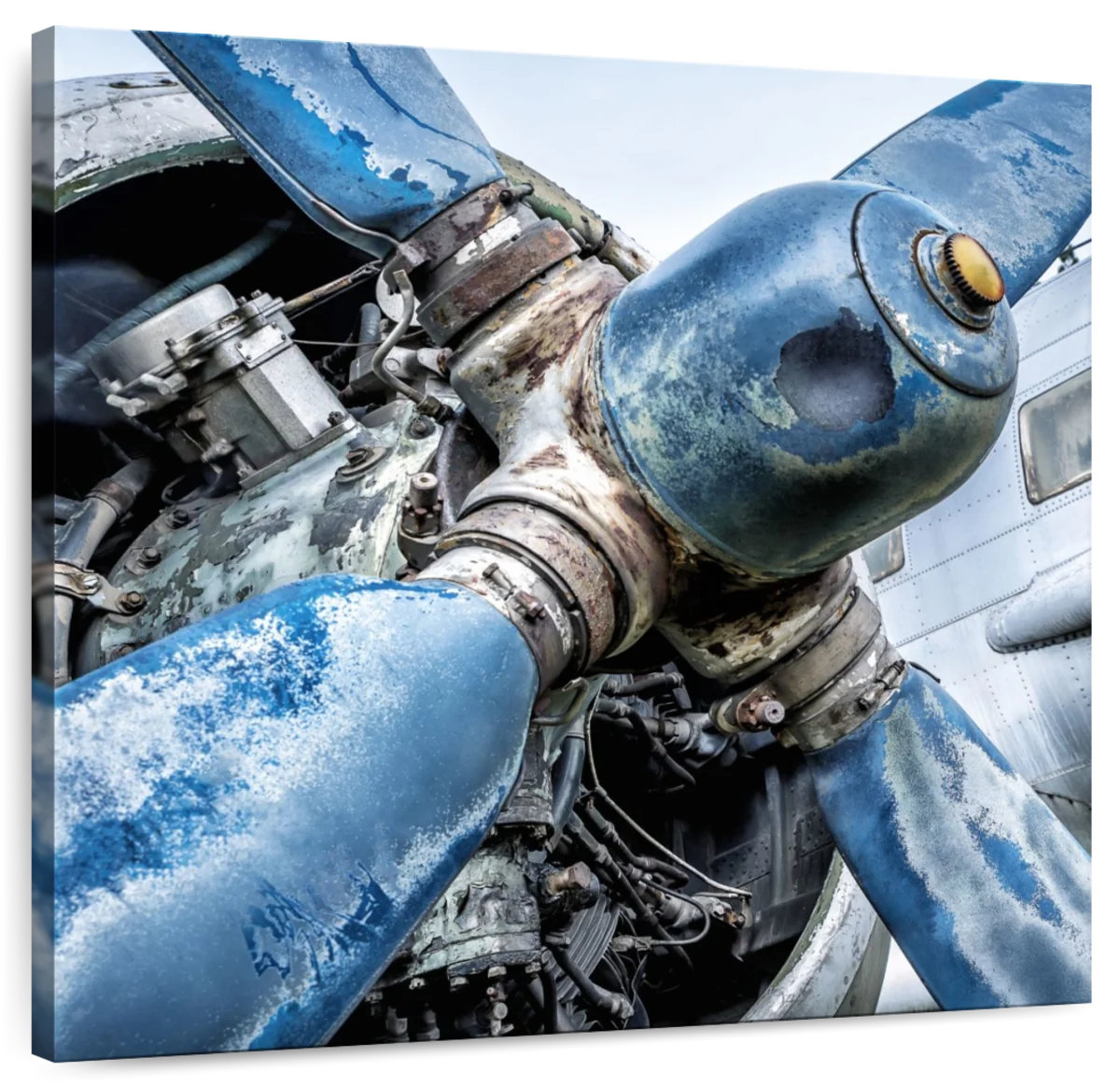 Elephant Stock Blue Old Propeller | Wayfair