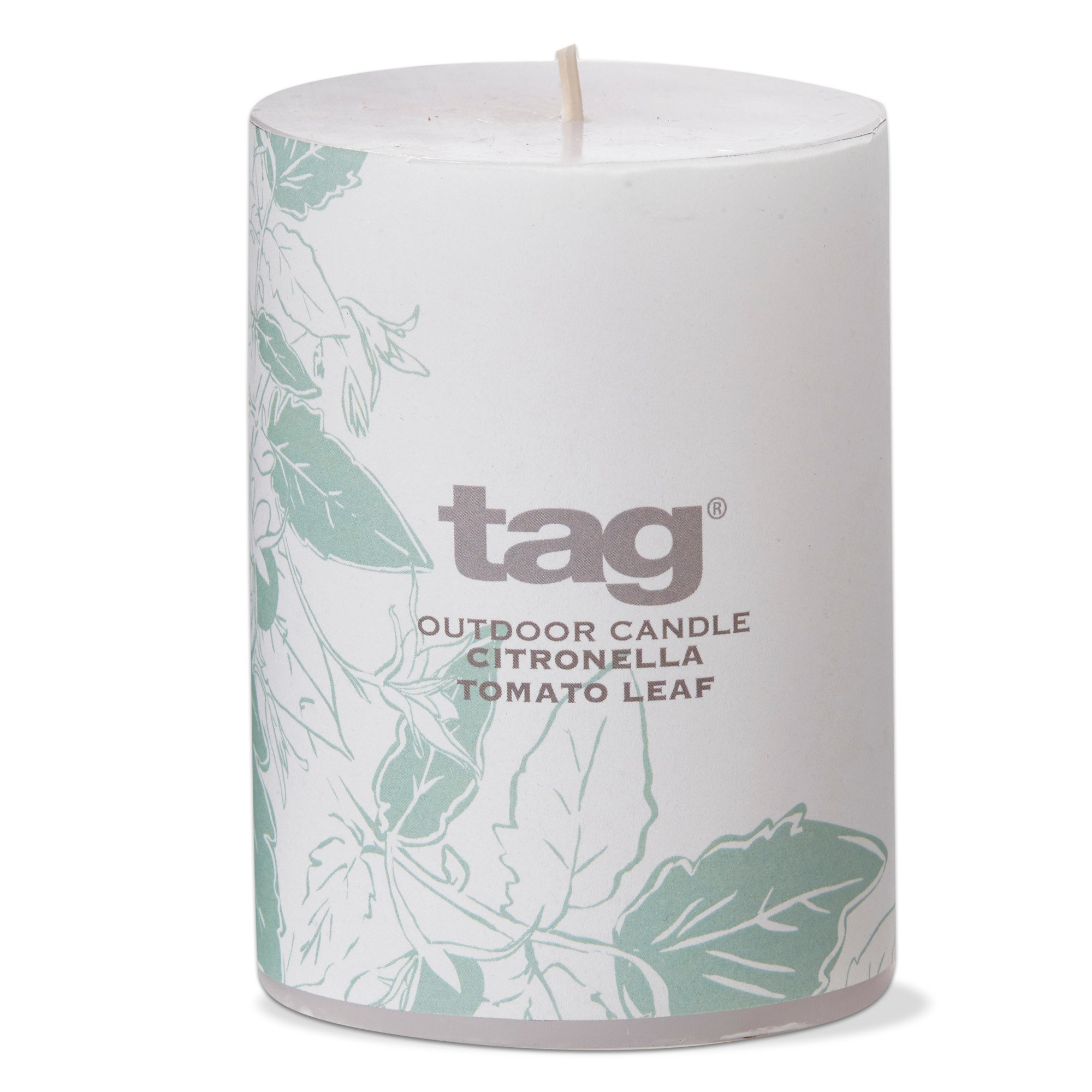 Dakota Fields Citro 3X4 Frag Pillar Tom Leaf | Wayfair