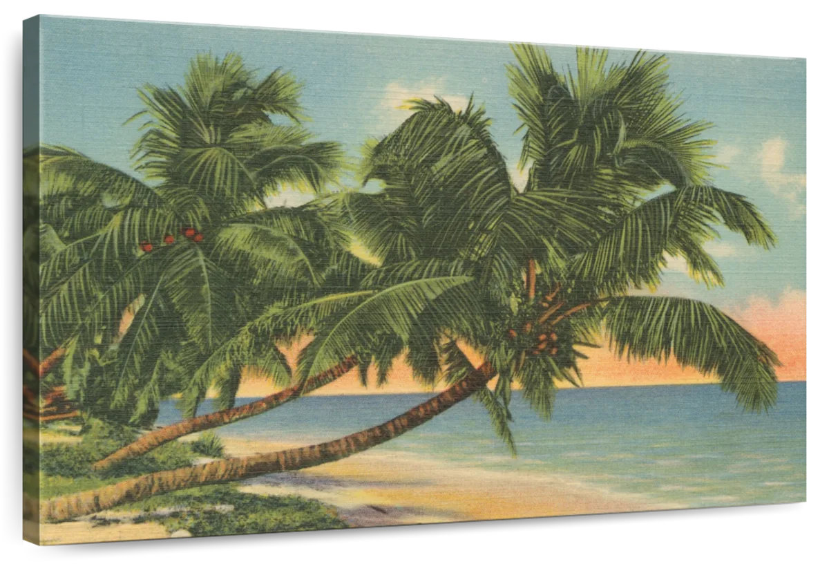 Elephant Stock Florida Postcard III | Wayfair