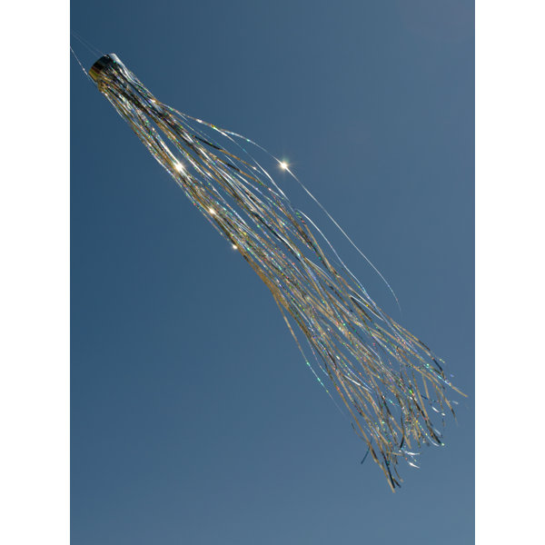 Arlmont & Co. Silver Holographic Windsock & Reviews | Wayfair